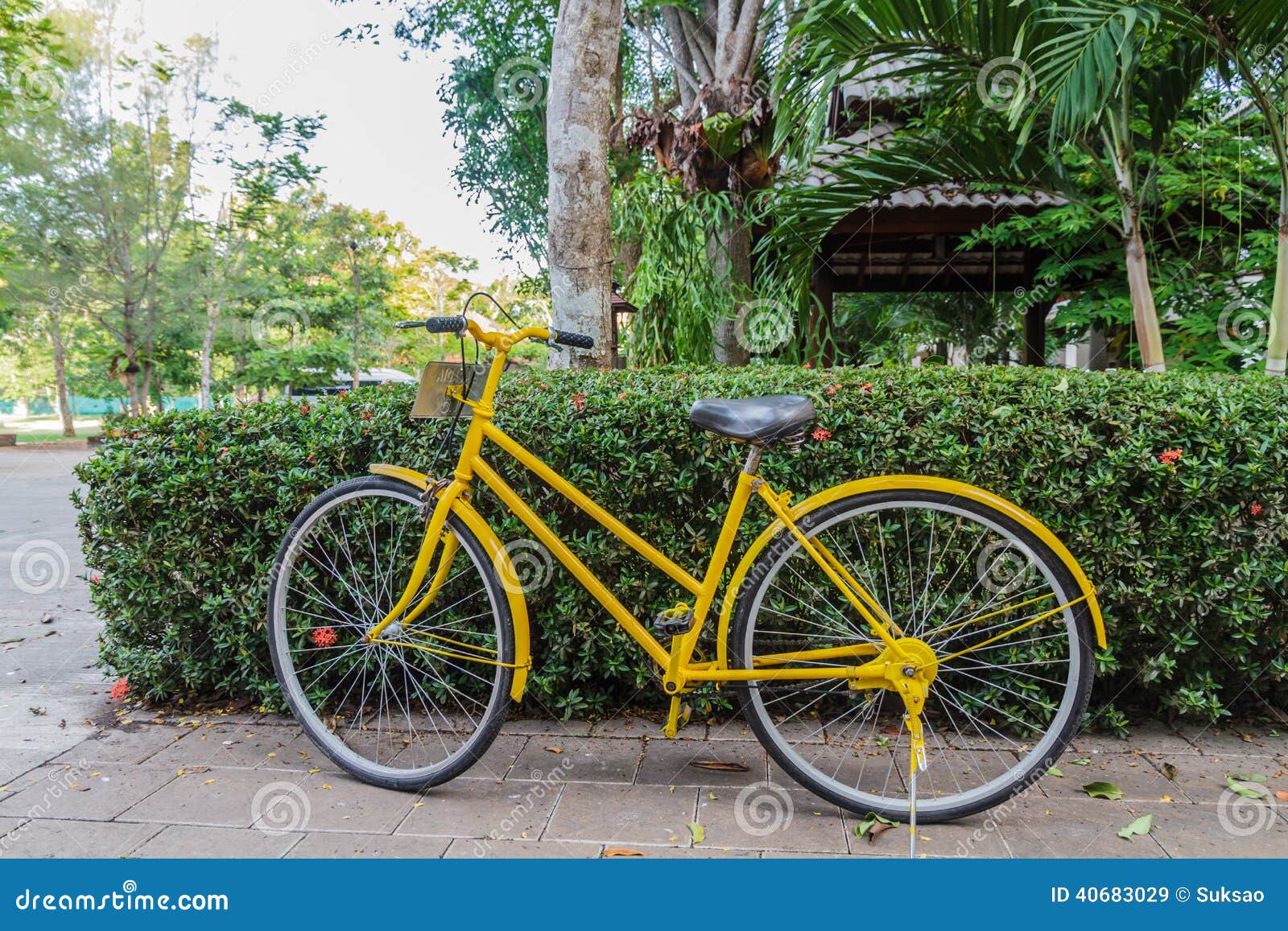 Yellow bicycle stock image. Image of green, summer, countryside - 40683029