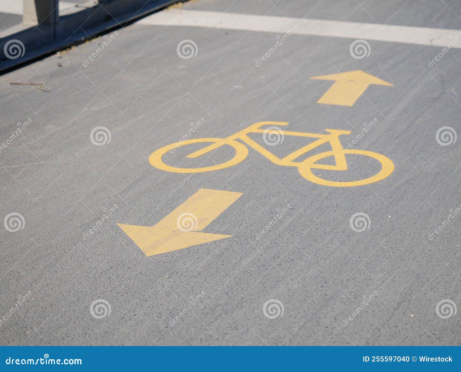 Yellow Bicycle Sign with Arrows on the Asphalt Stock Photo - Image of ...