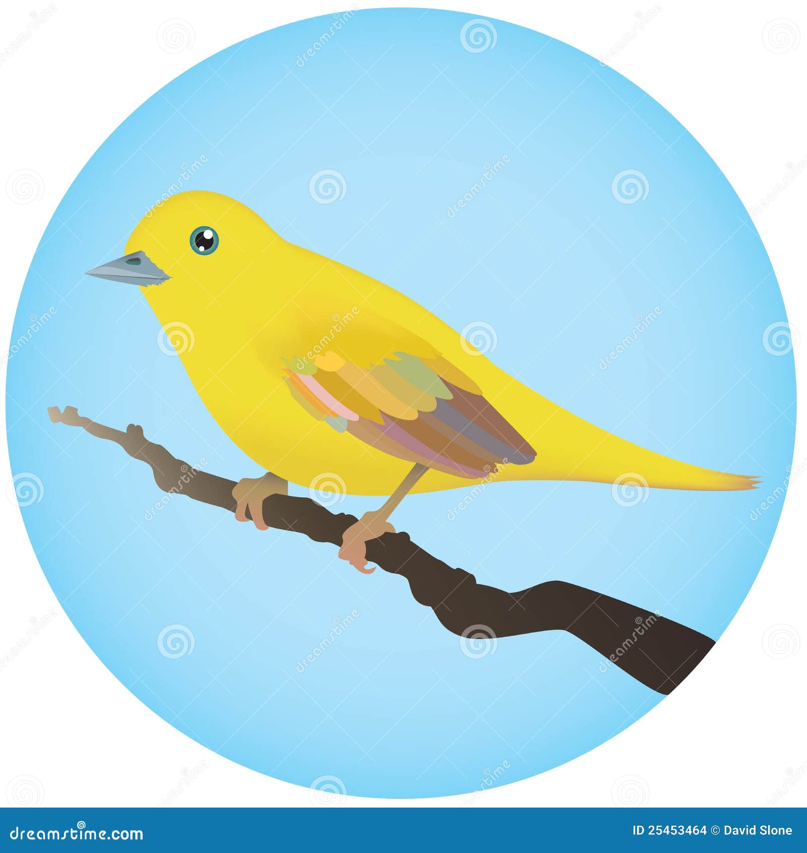 Yellow Bird Cartoon Vector Illustration | CartoonDealer.com #71899078