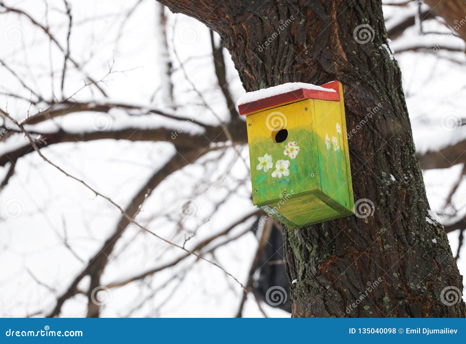 Yellow Bird House on the Tree Stock Photo - Image of outdoors ...