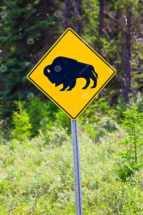 A Yellow Bison Warning Sign Along the Highway Stock Photo - Image of ...