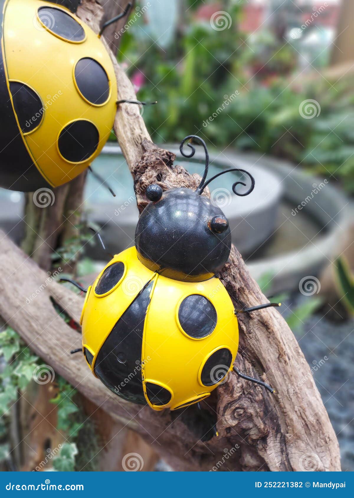Iron Ladybug Stock Photos - Free & Royalty-Free Stock Photos from ...