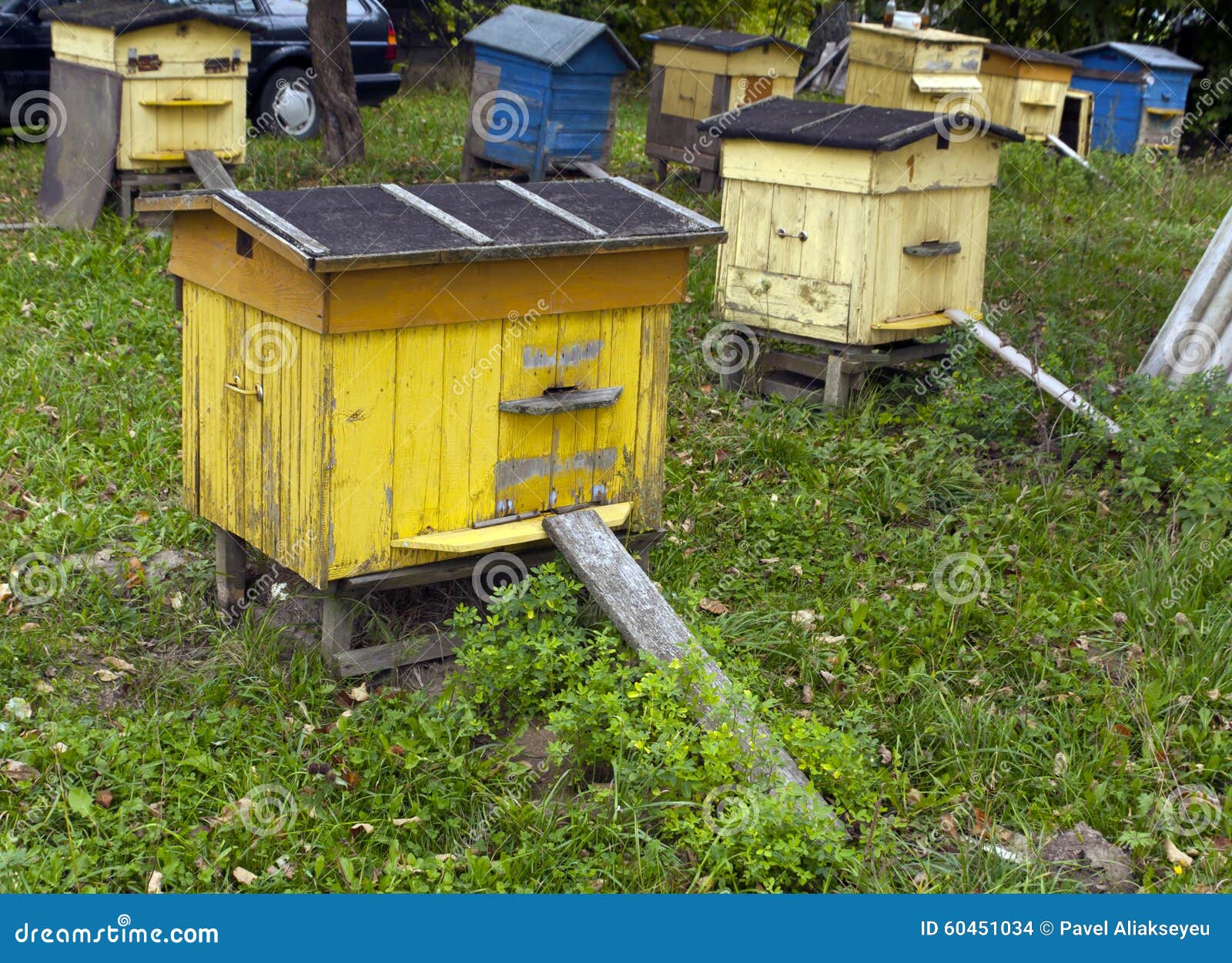 Yellow and blue bee hives. stock photo. Image of animal - 60451034