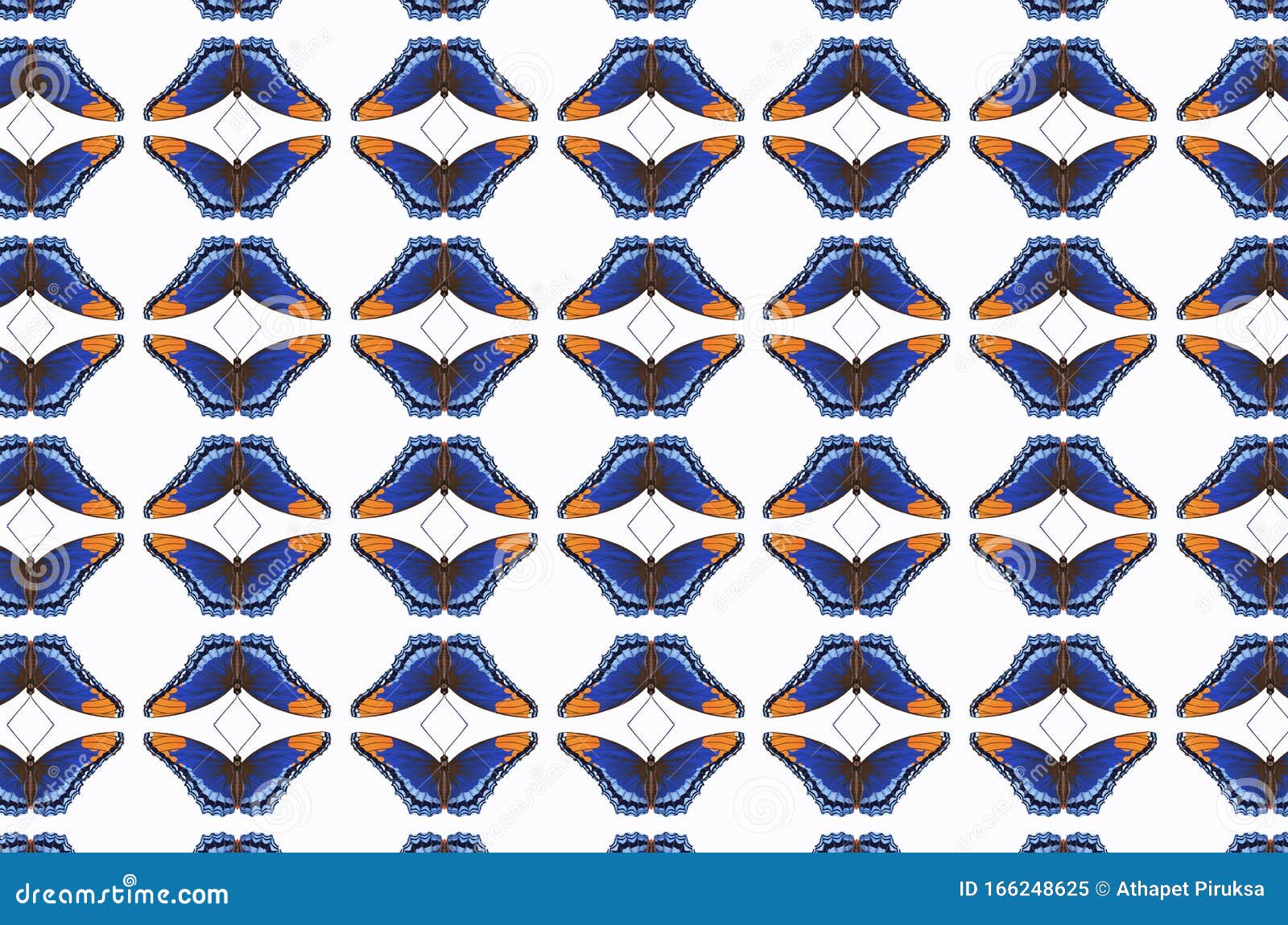 Yellow and Blue Butterfly Pattern on White Background Stock ...