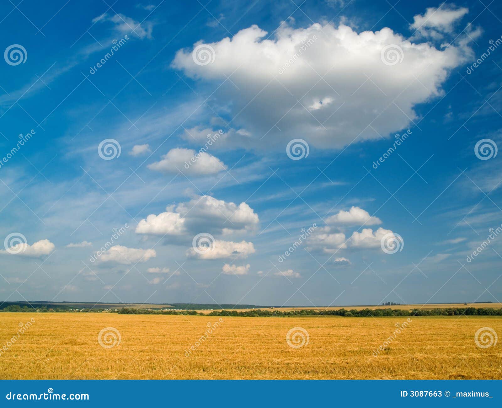 Yellow and blue landscape stock image. Image of plant - 3087663