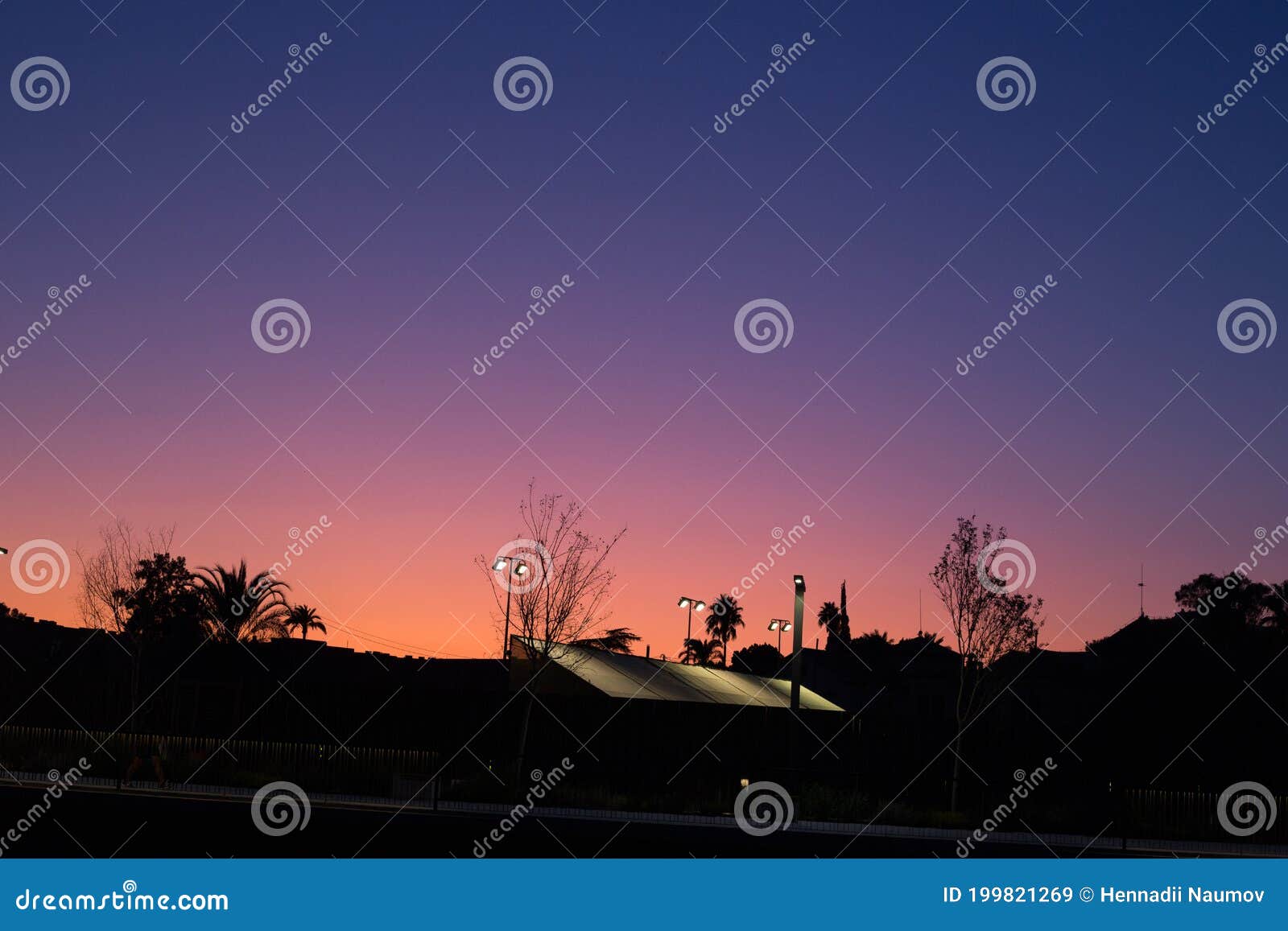 Yellow-blue Sunset with Palm Trees on a Background in the City Stock ...