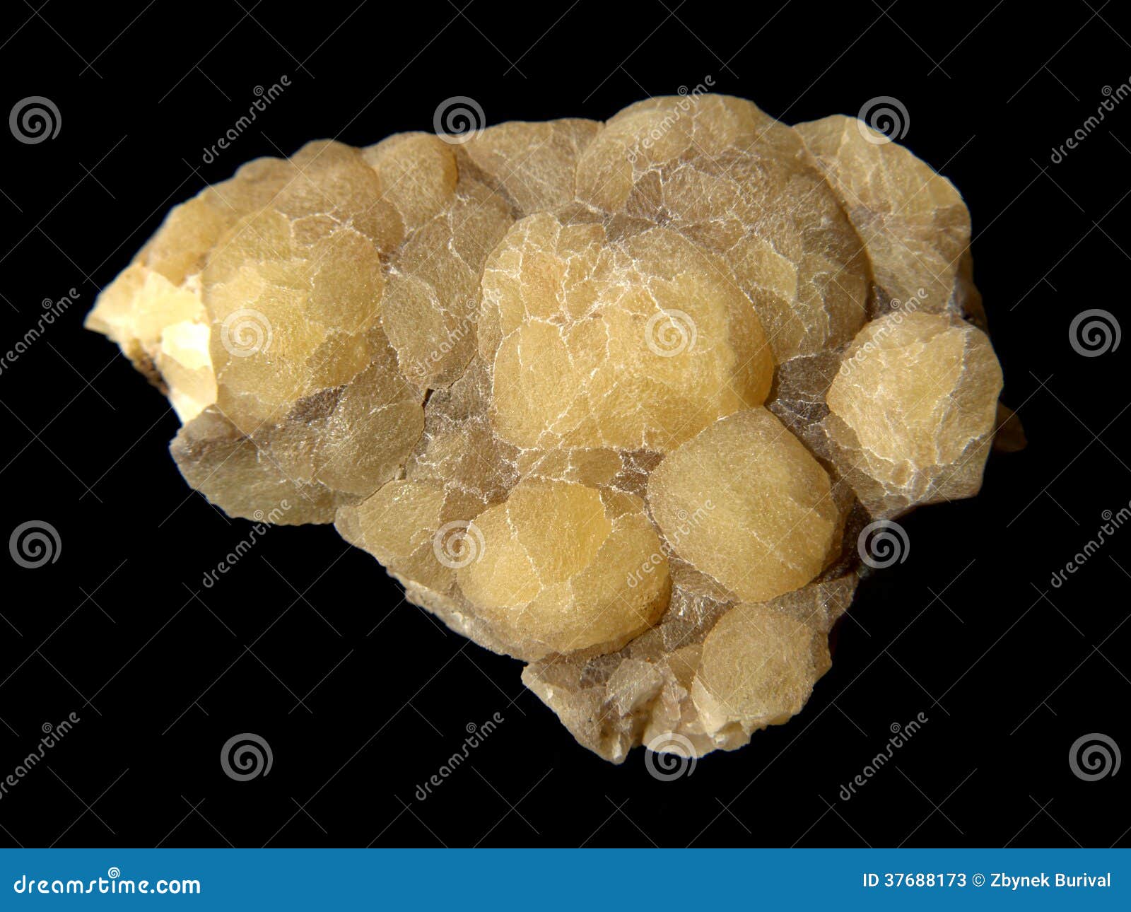 Yellow Botryoidal Aragonite Stock Image - Image of mineral, aragonite ...