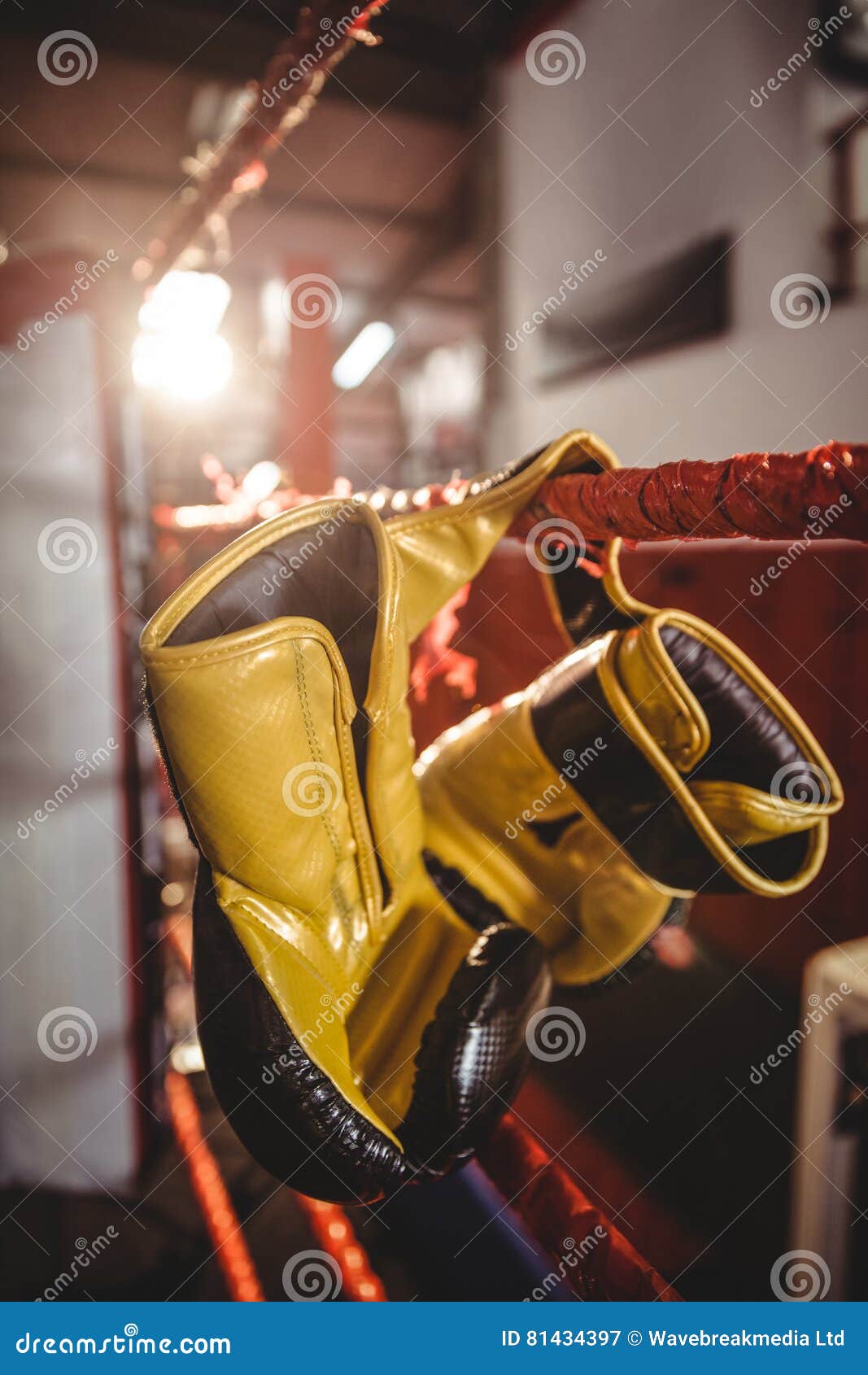 Yellow Boxing Gloves Hanging Off the Boxing Ring Stock Image - Image of ...