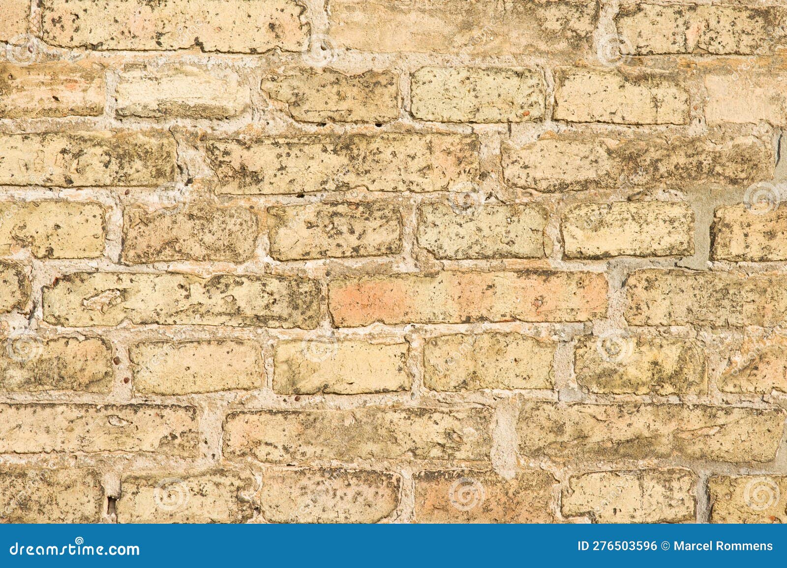 Yellow brick pattern stock photo. Image of block, wall - 276503596