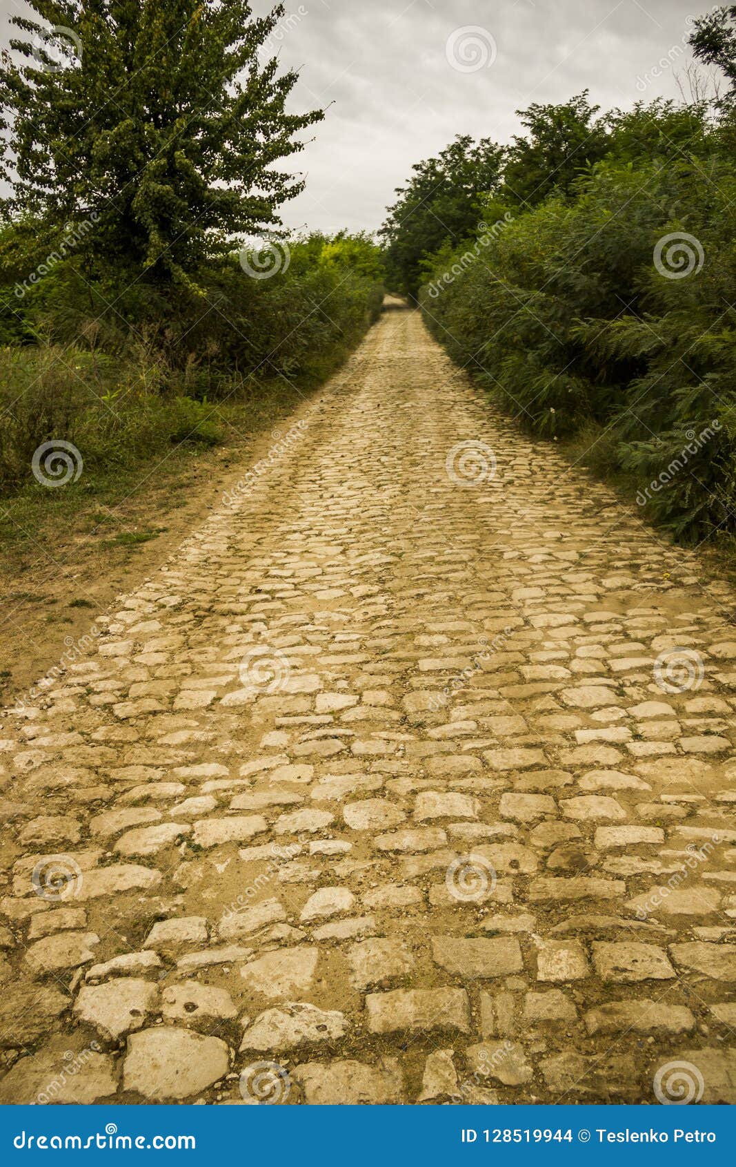 Yellow brick road stock photo. Image of pathway, texture - 128519944