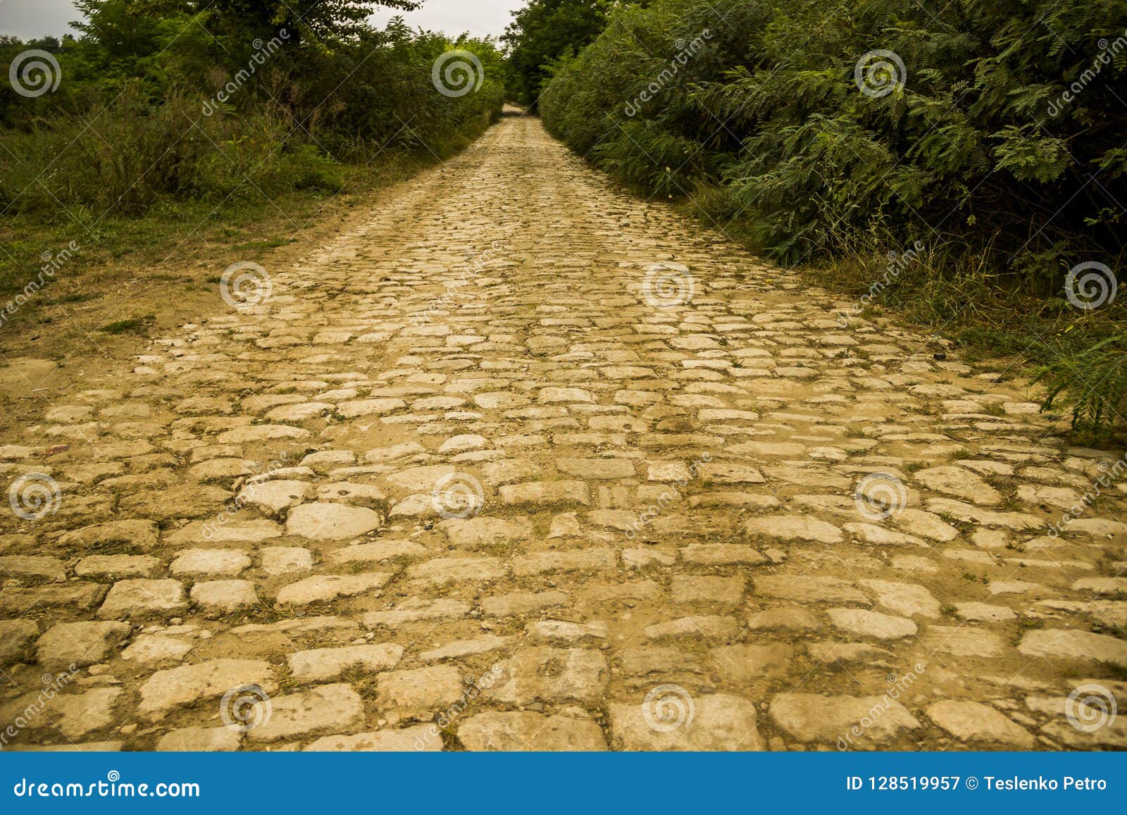 Yellow brick road stock image. Image of ground, stone - 128519957