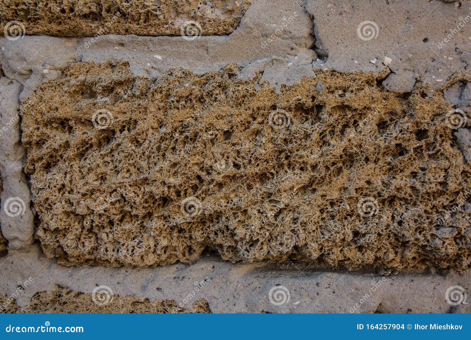 Shell Brick Wall Pattern Surface Mineral Material Texture Background ...