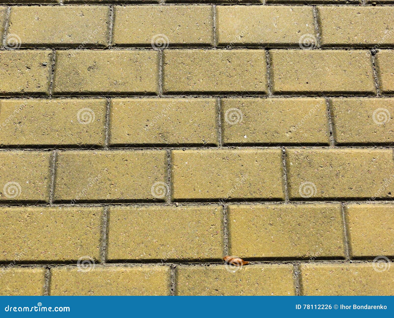 Yellow bricks background stock photo. Image of brown - 78112226