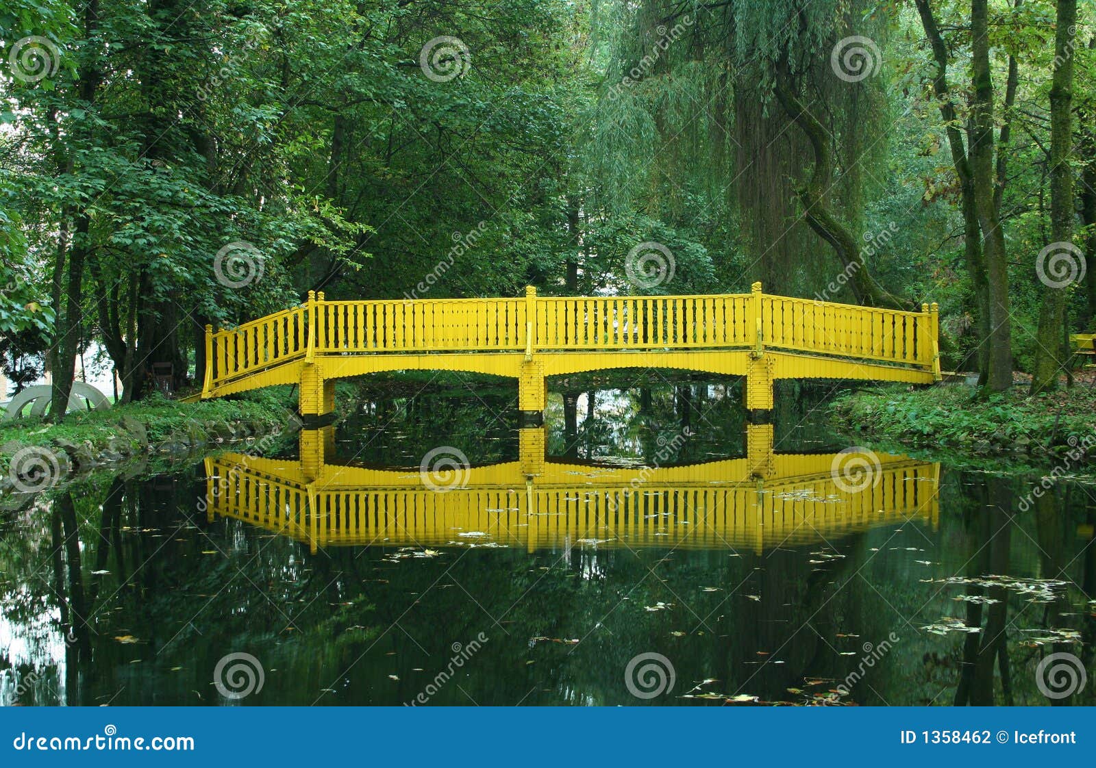 Yellow bridge stock photo. Image of willow, environment - 1358462