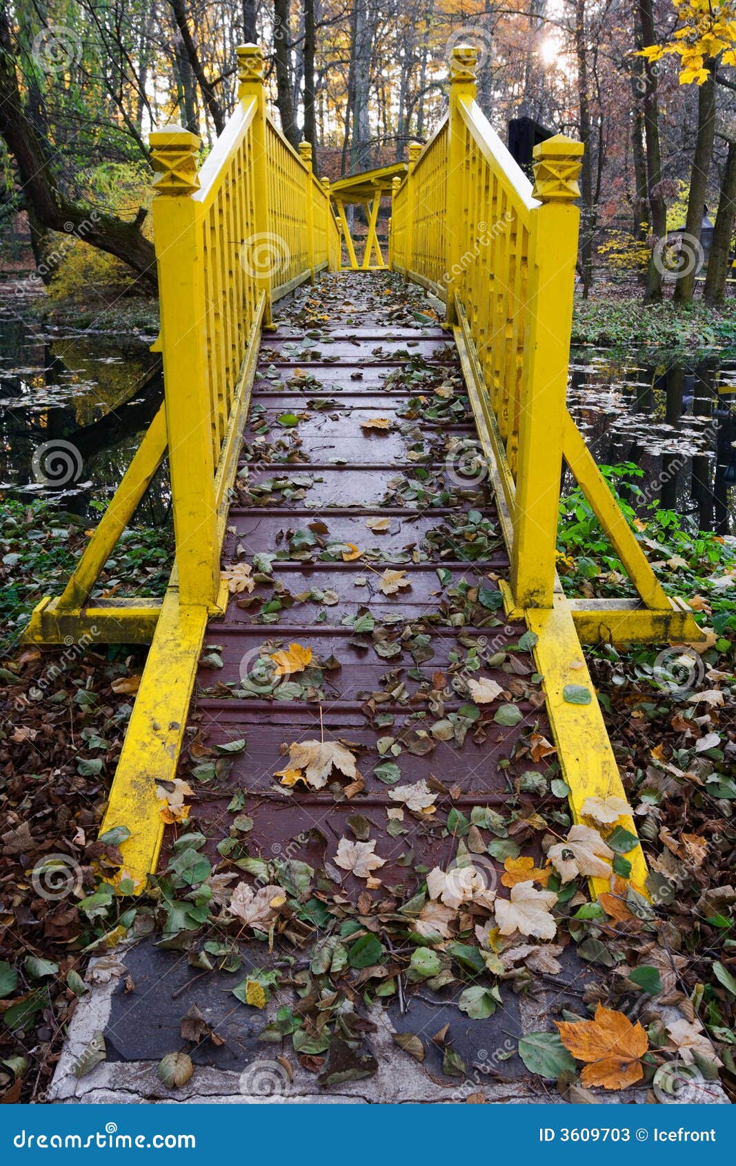 Yellow bridge stock image. Image of woods, wooden, fall - 3609703