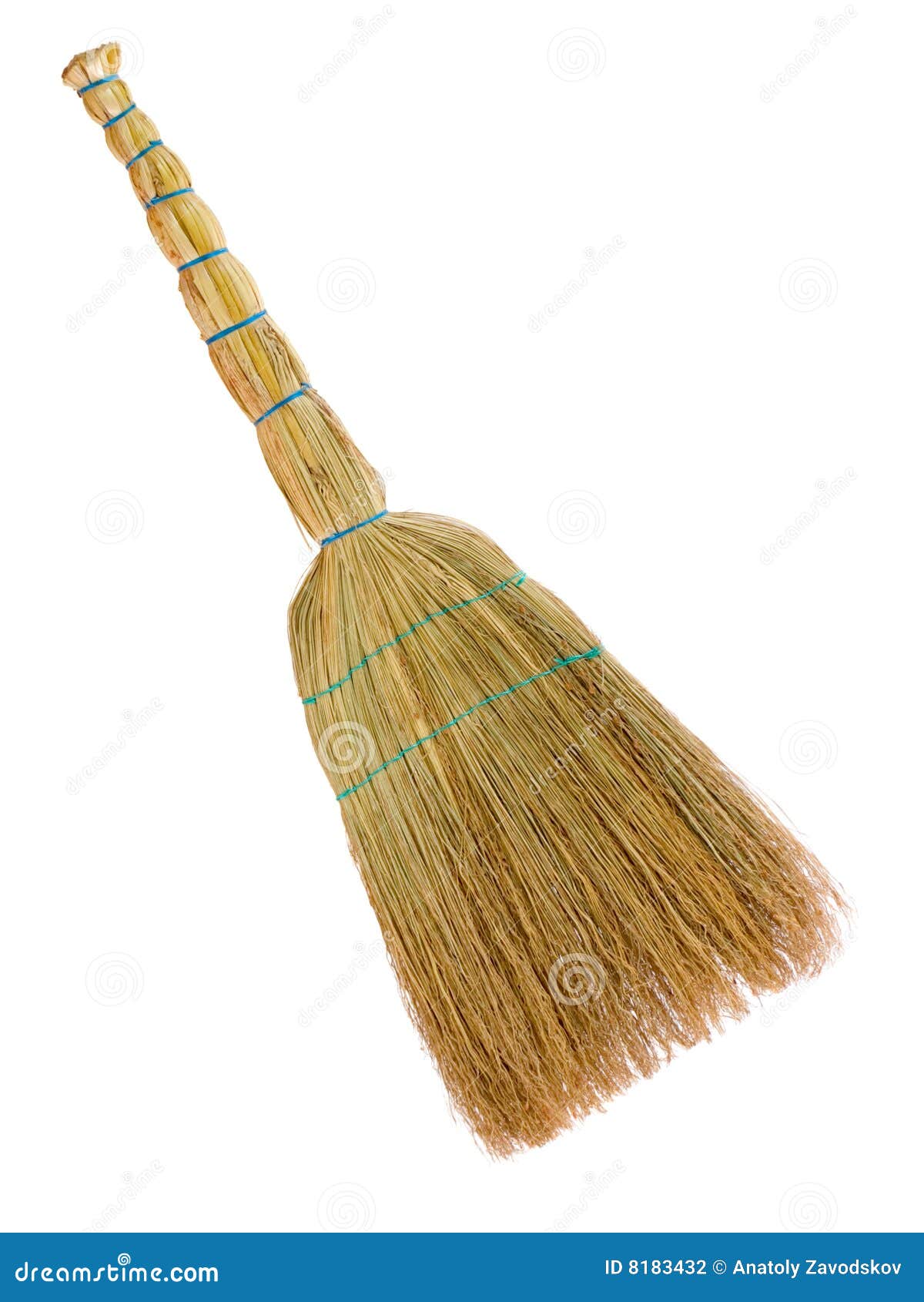 Yellow Broom Flowers Stock Photography | CartoonDealer.com #2482802