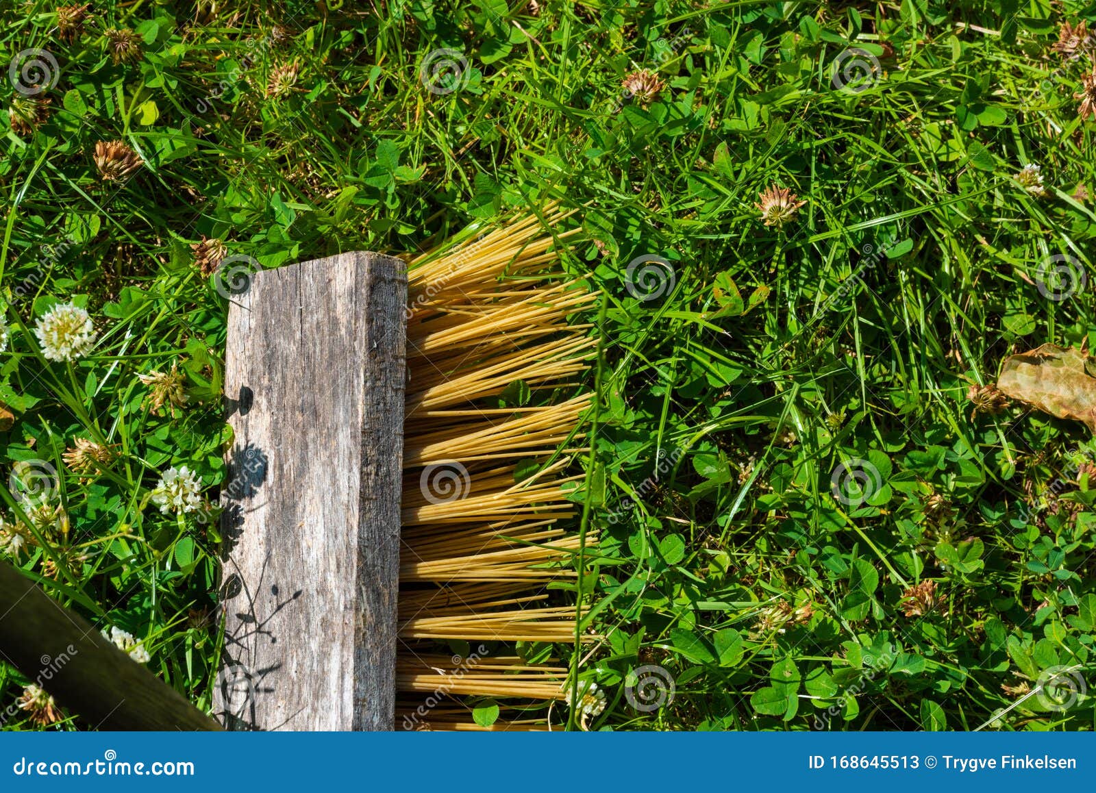 A Yellow Broom in Green Grass Stock Image - Image of object, equipment ...