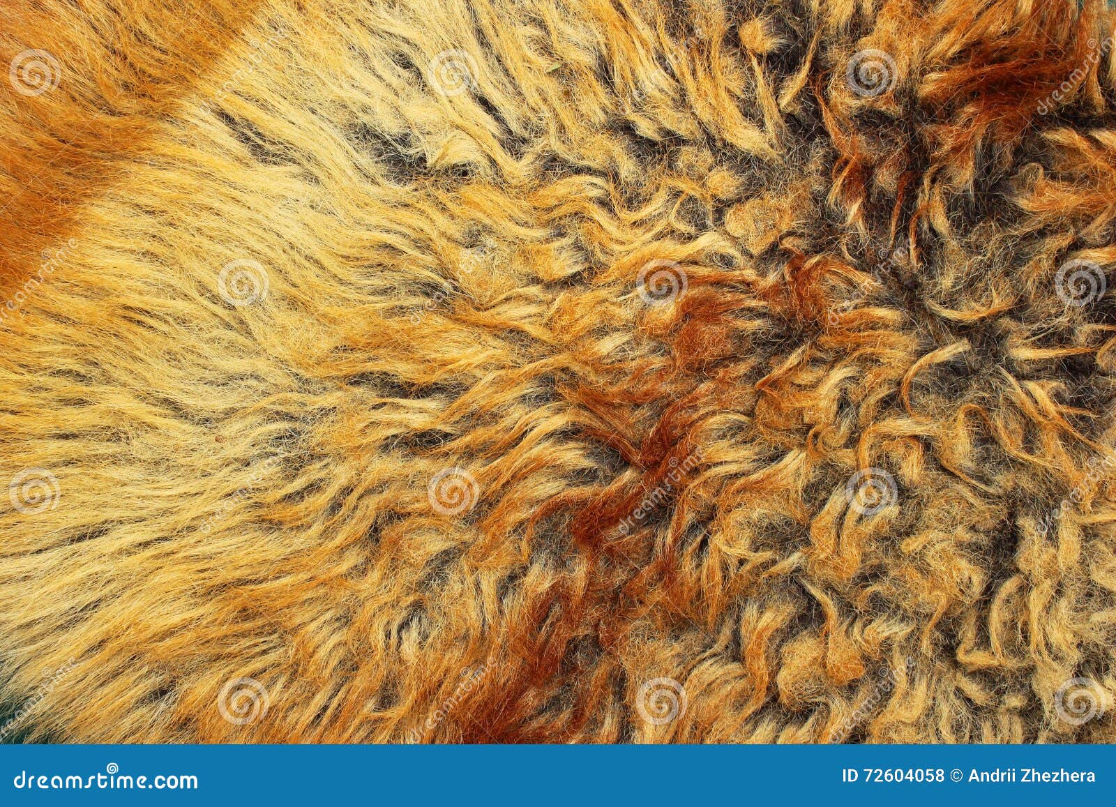 Yellow and Brown Fur Texture Stock Photo - Image of pattern, hair: 72604058