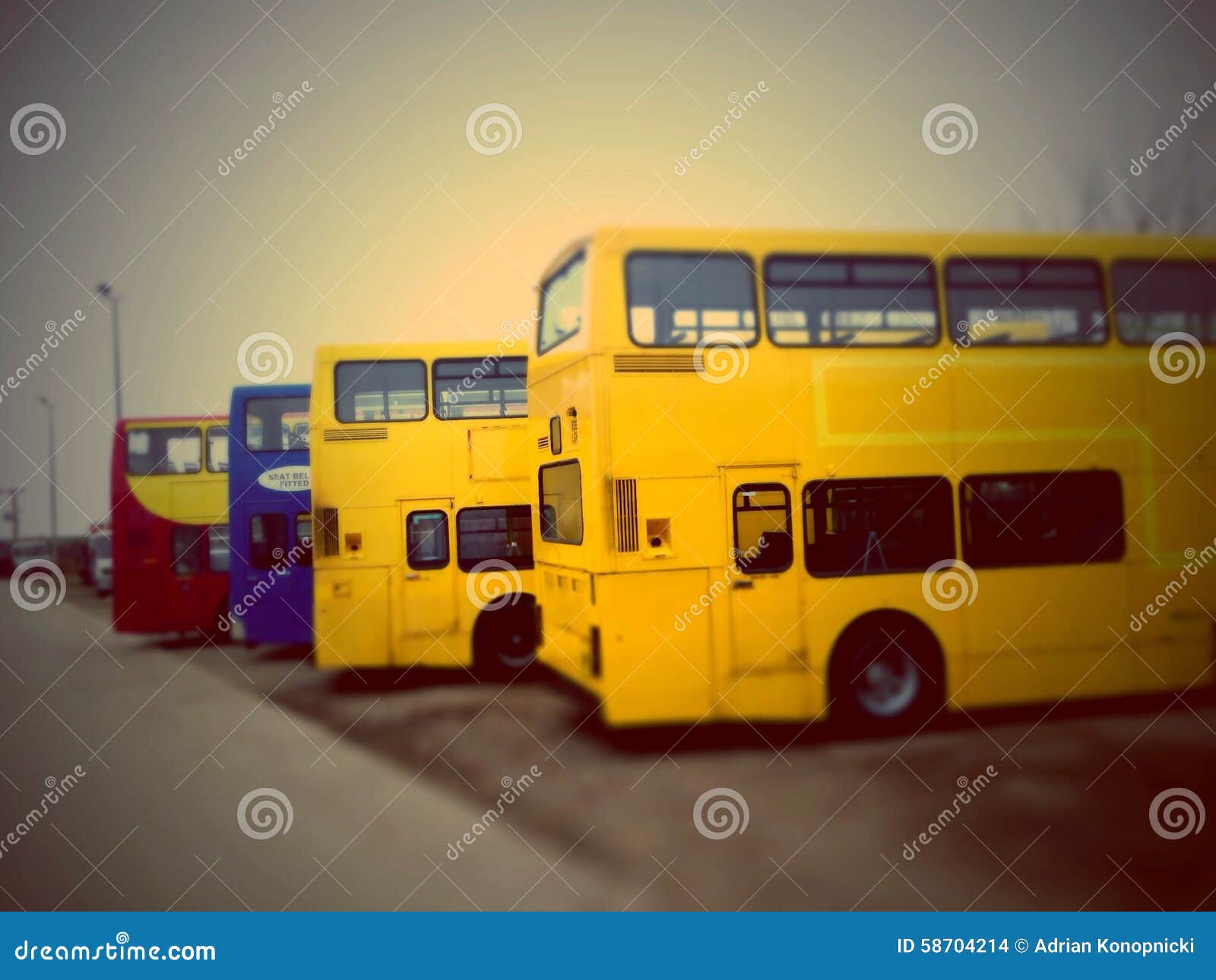 Yellow buses stock photo. Image of yellow, parking, buses - 58704214