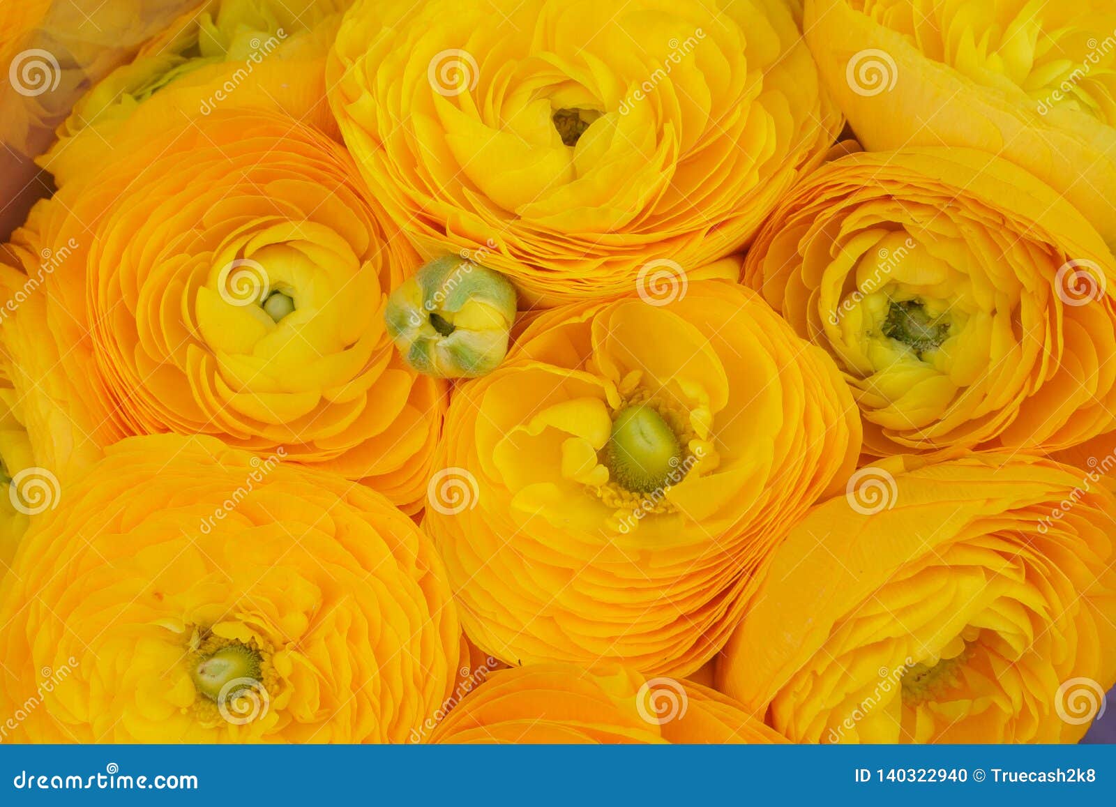 Yellow Buttercups Top View, Closeup, Natural Background. Stock Photo ...