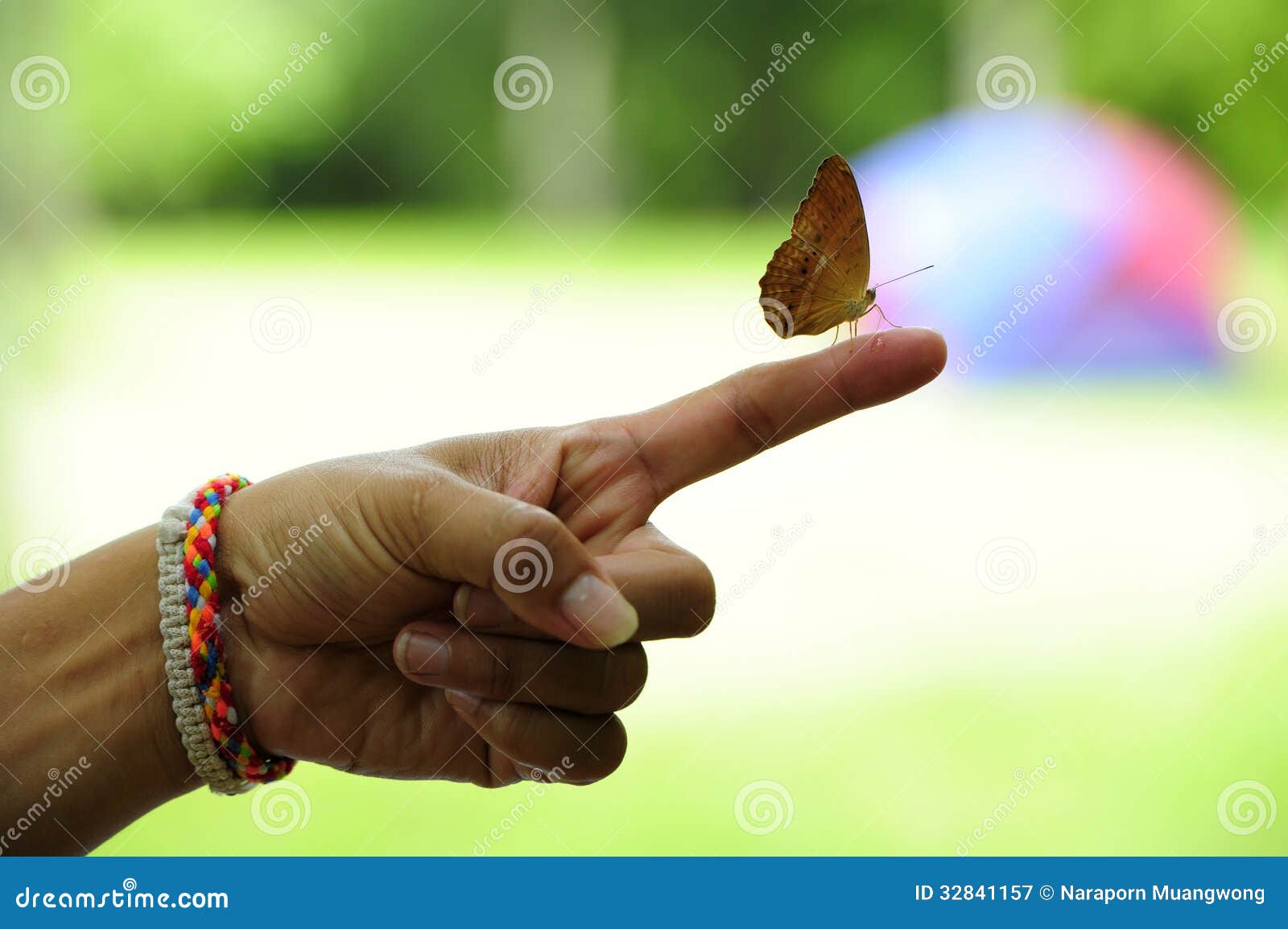 Yellow Butterfly on Finger. Stock Image - Image of protection, freedom ...