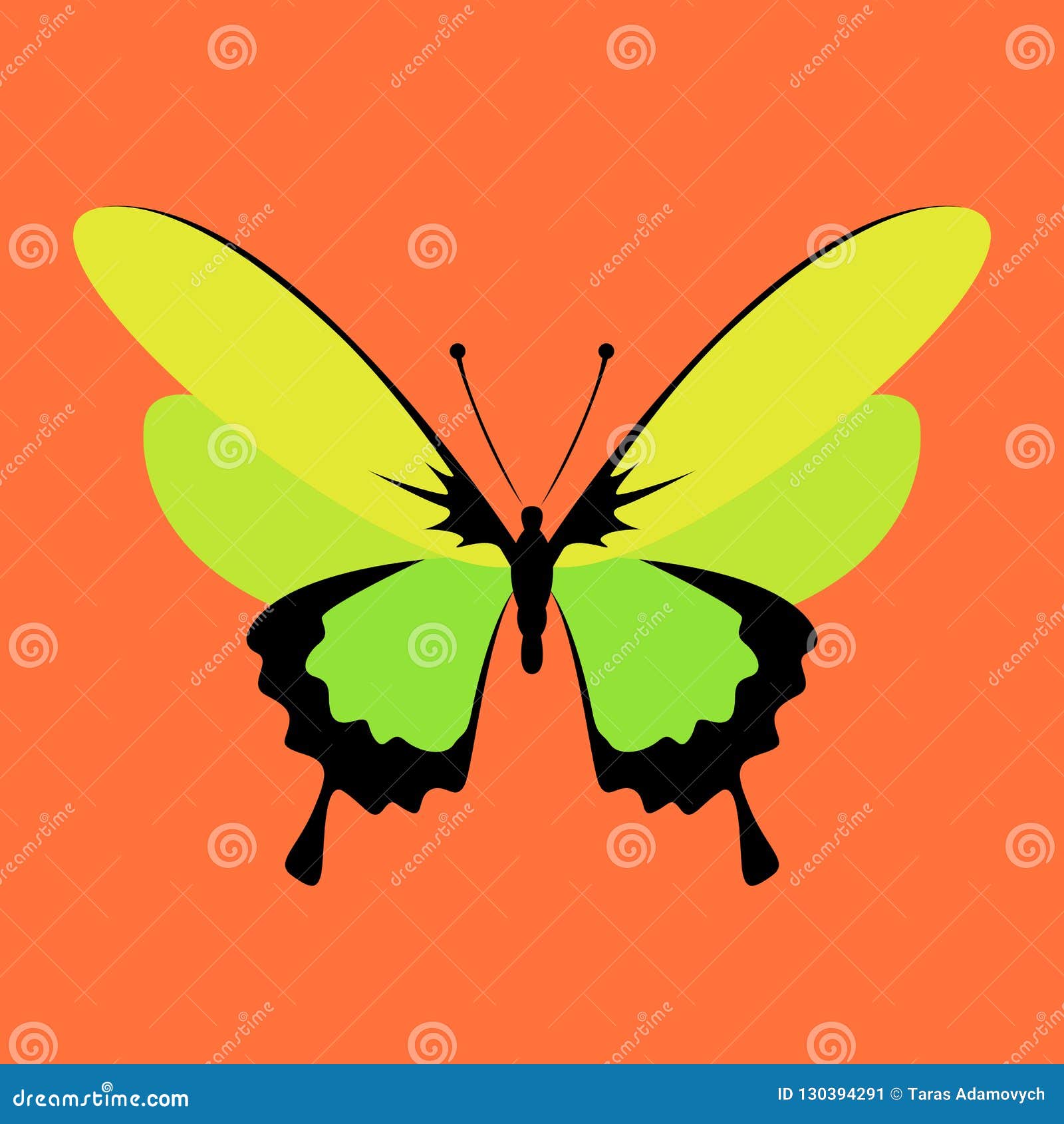 Yellow Butterfly Vector Illustration Stock Vector - Illustration of ...