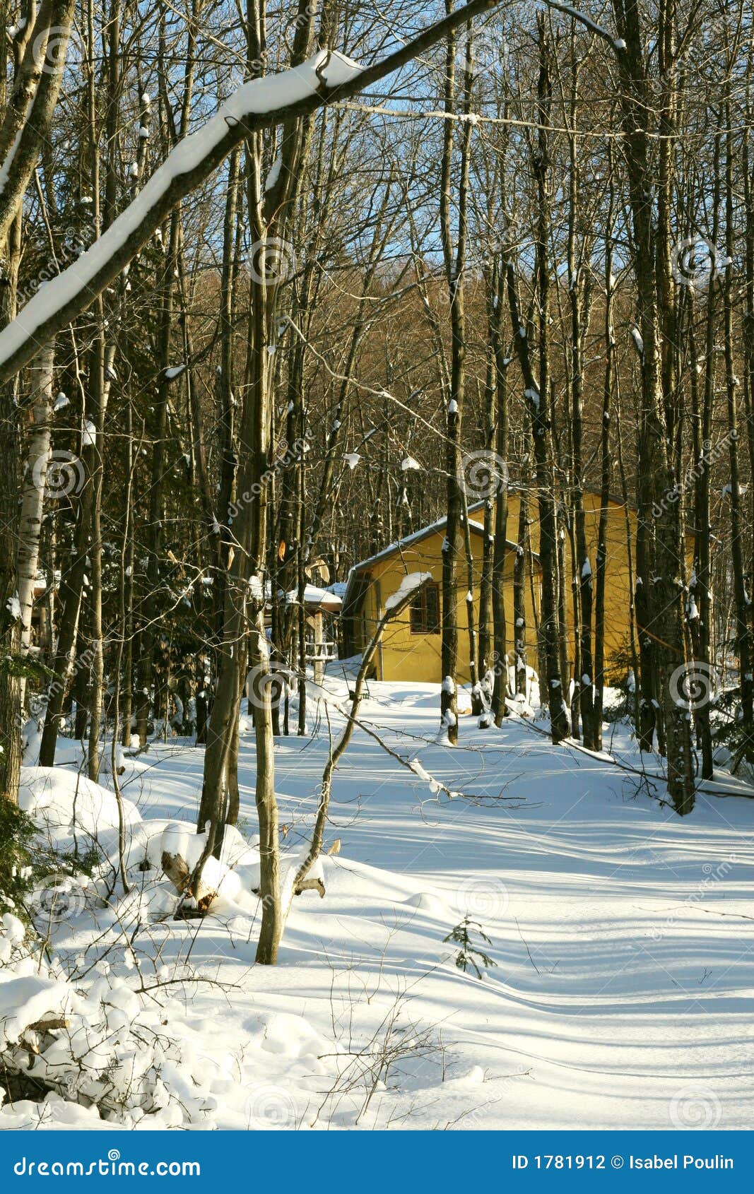 Yellow cabin stock photo. Image of forest, house, cool - 1781912