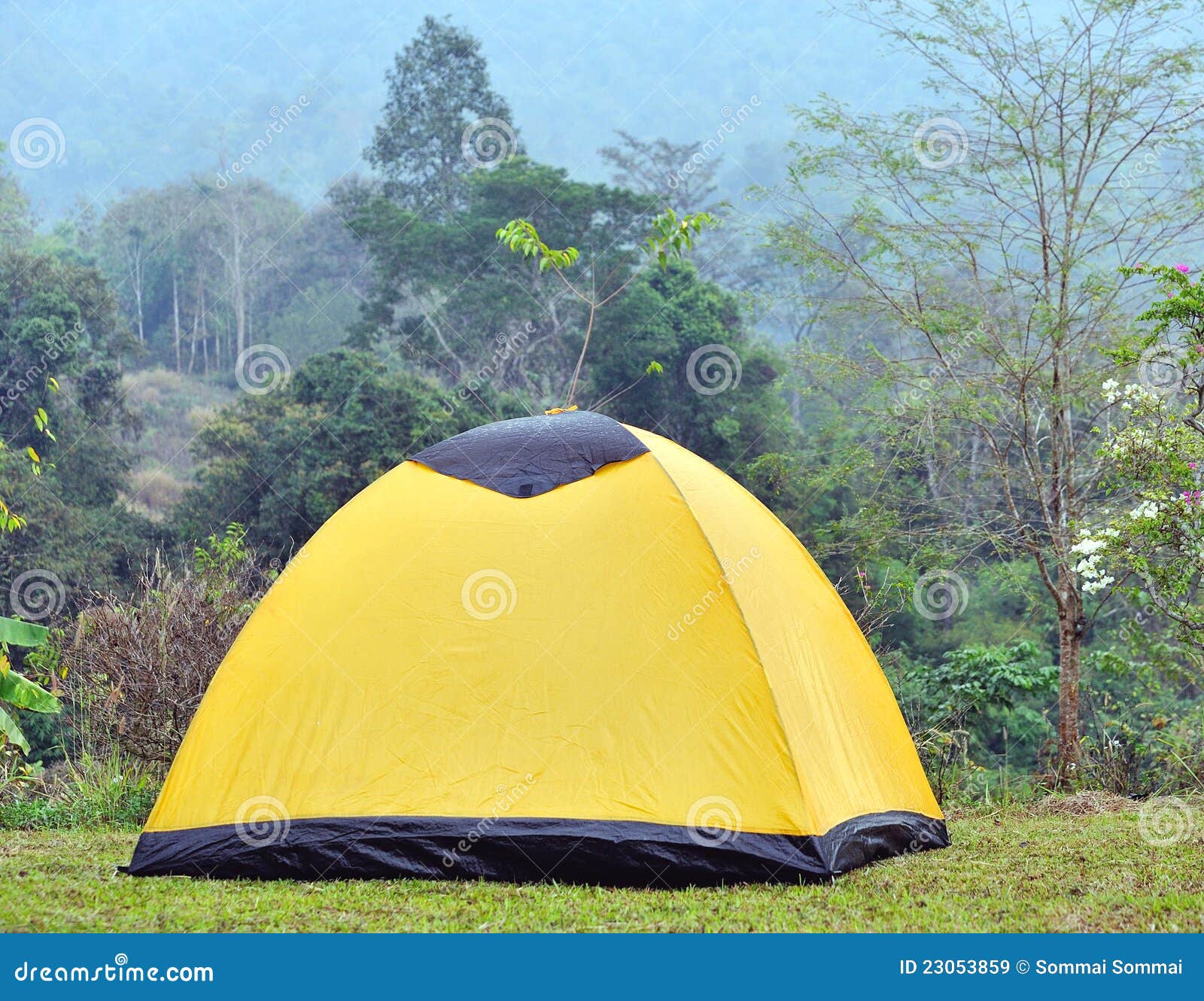 Yellow camping tent stock image. Image of holiday, pastoral - 23053859