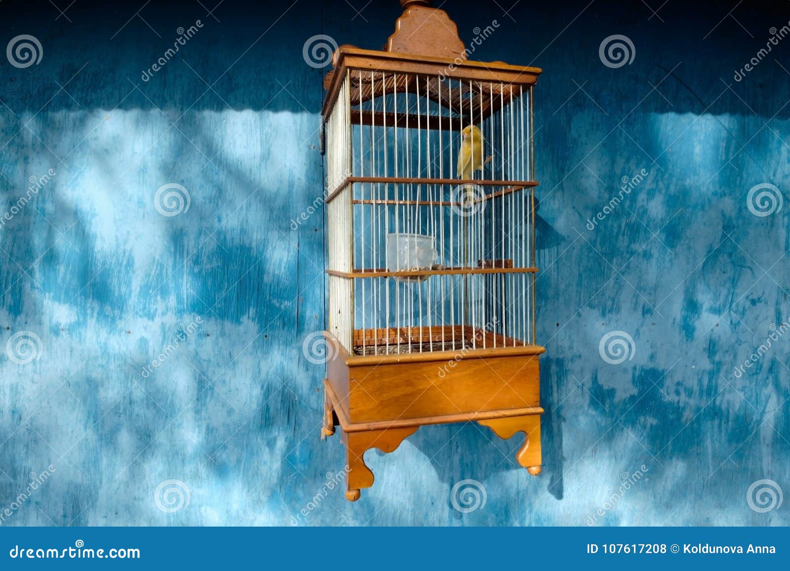 Yellow Canary in a Cage in the Blue Background Stock Photo - Image of ...