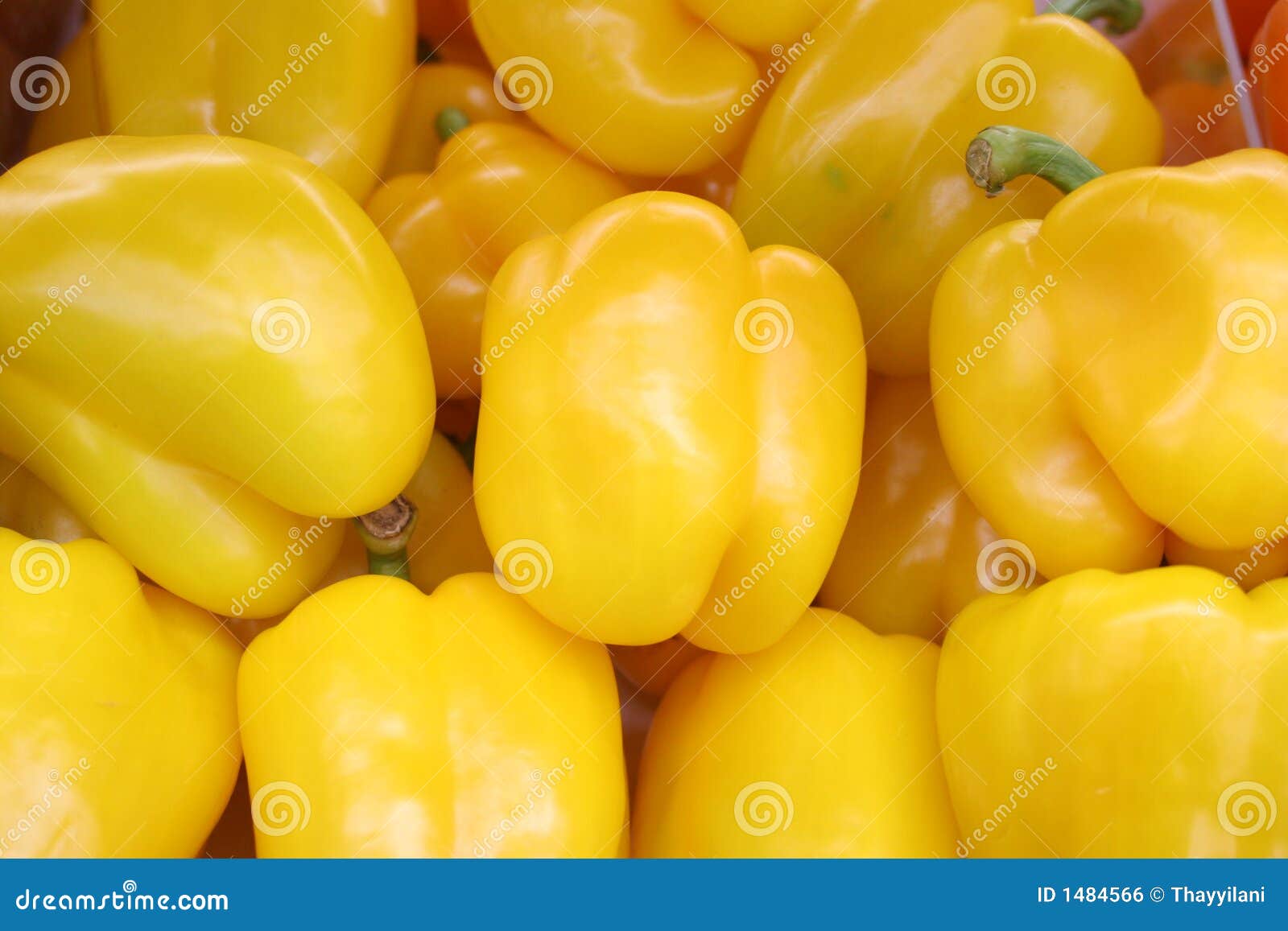 Yellow Capsicum stock photo. Image of bunch, fresh, juicy - 1484566