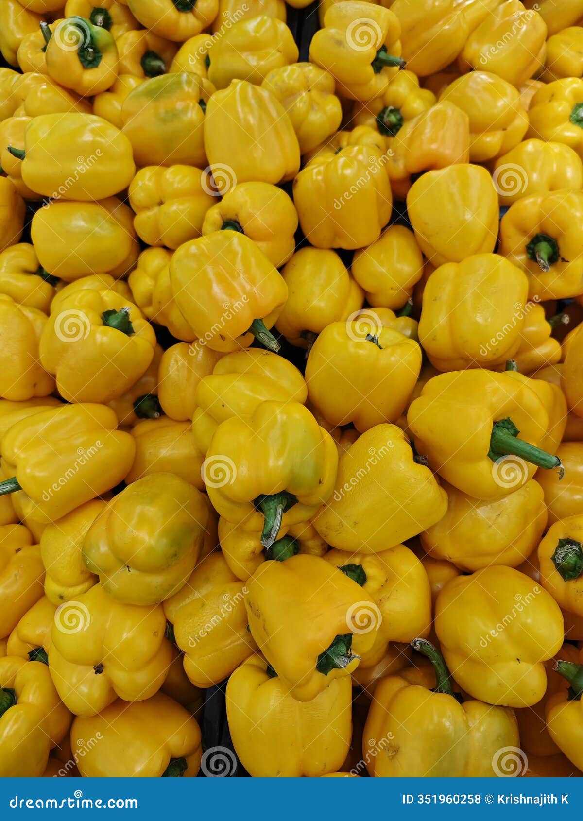 Yellow capsicum wallpaper stock photo. Image of tomato - 351960258
