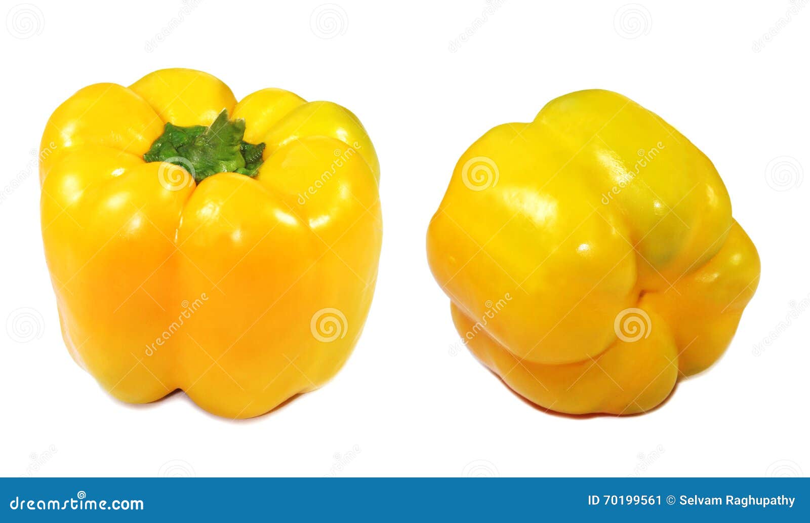 Yellow capsicum stock image. Image of feed, healthy, food - 70199561
