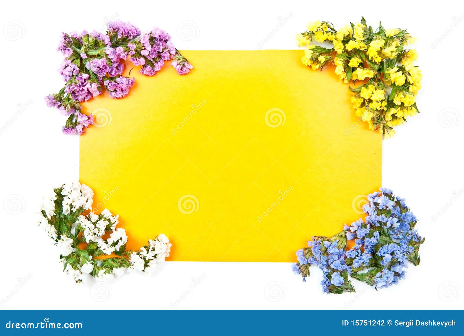 Yellow card with flowers stock photo. Image of leaf, design - 15751242