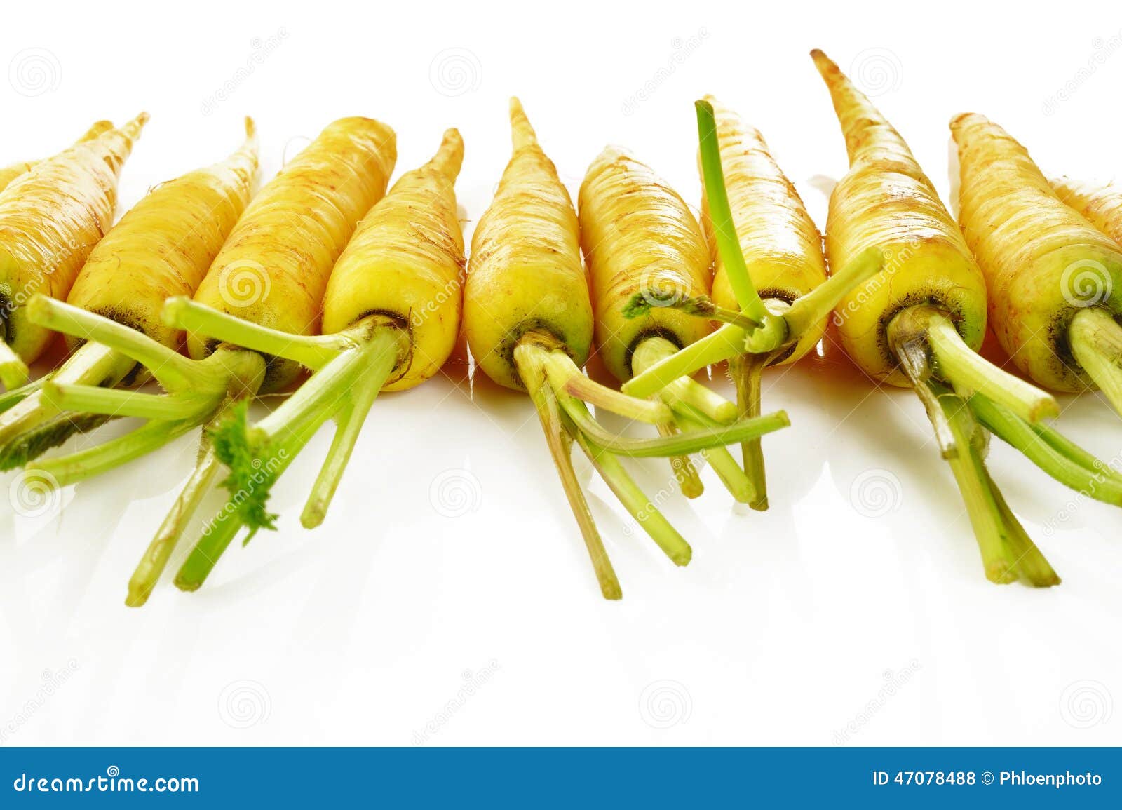Yellow carrot stock photo. Image of vegan, vegetable - 47078488