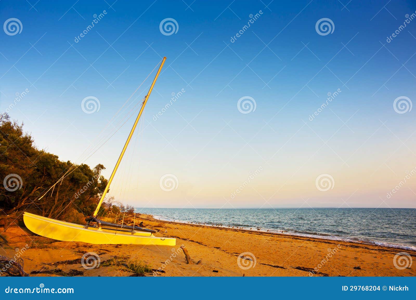 Catamaran stock photo. Image of beach, recreation, landscape - 29768204
