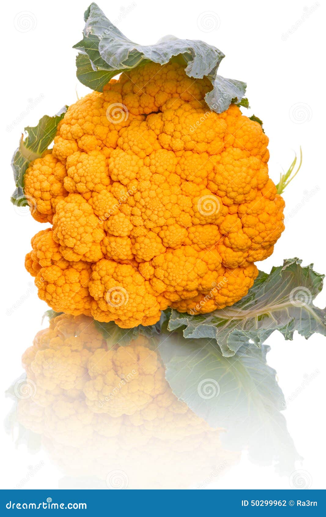 Yellow cauliflower stock photo. Image of color, close - 50299962