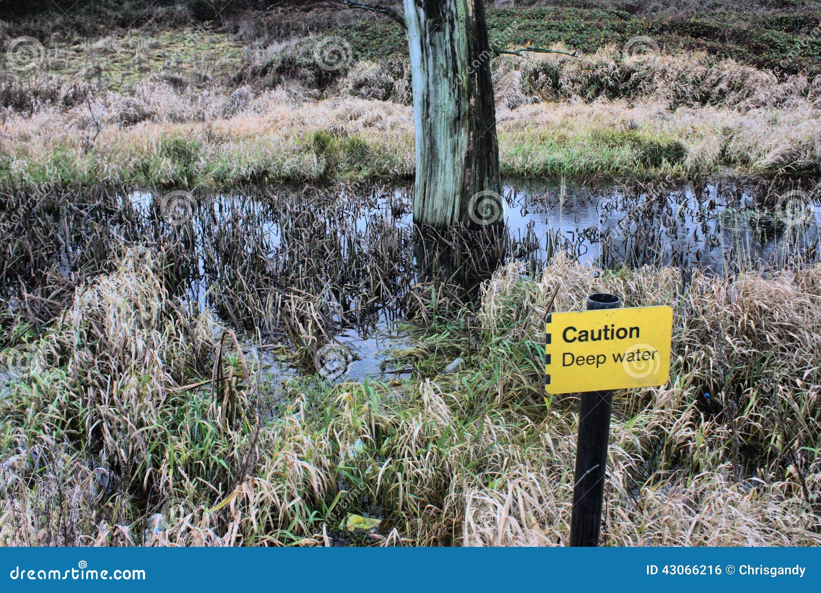 A Yellow Caution Deep Water Sign in Front of Marshland Stock Photo ...