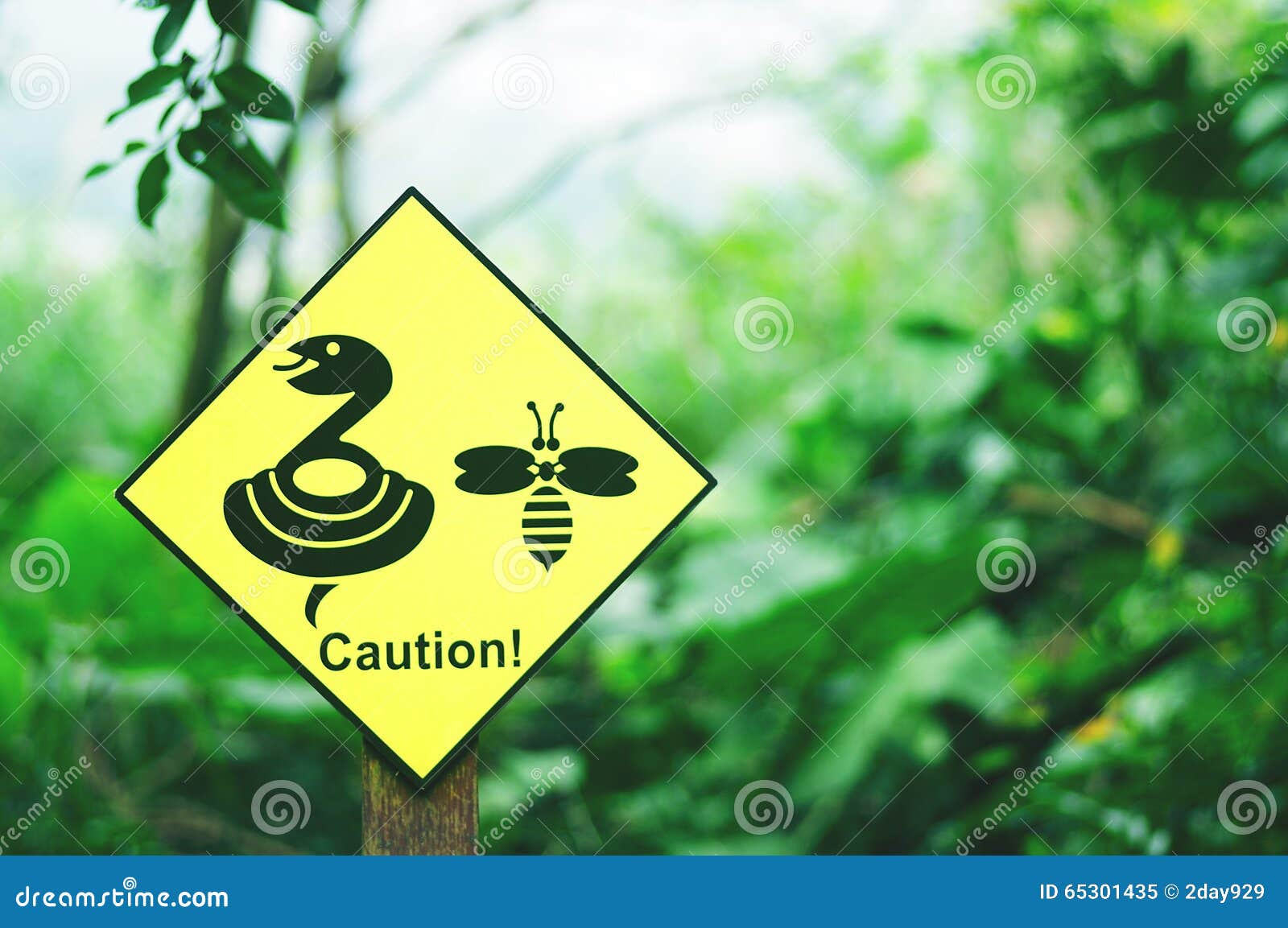 Yellow Caution Sign, Nature Danger Stock Image - Image of cautious ...