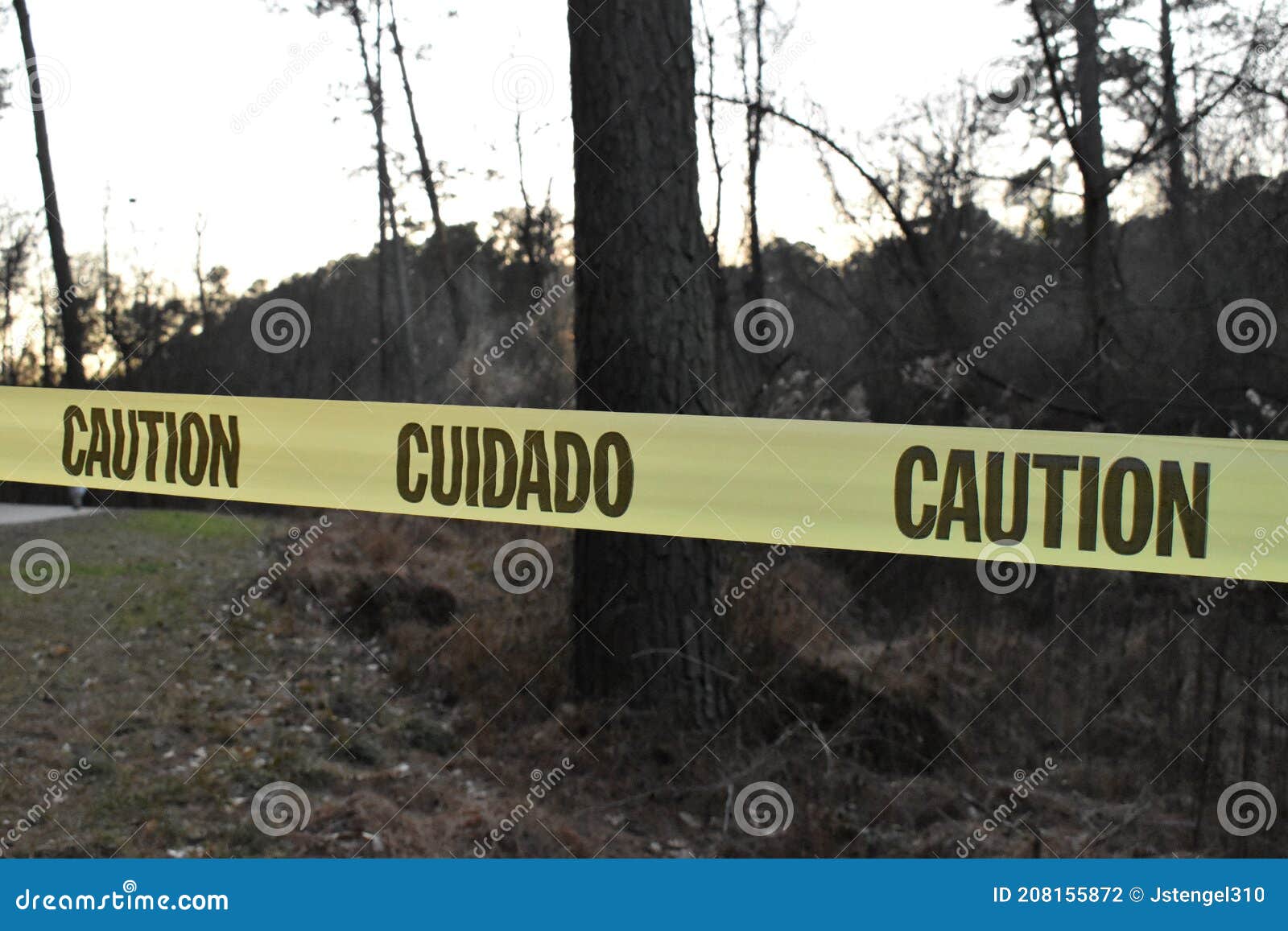 Yellow Caution Tape Blocking Off a Dark Forest Stock Photo - Image of ...