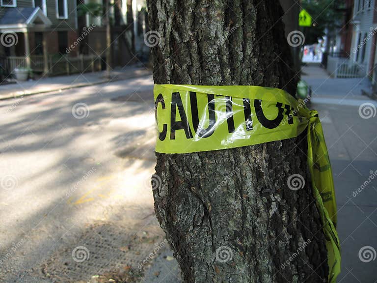 Yellow Caution Tape on a Tree Stock Photo - Image of black, tied: 950514