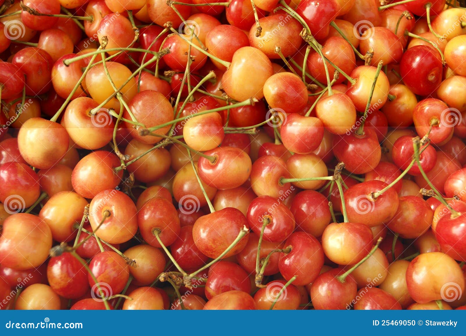 Yellow cherries. stock photo. Image of summers, vegetarian - 25469050