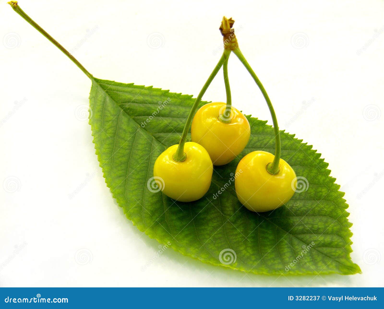 Yellow cherry stock image. Image of color, aliment, harvesting - 3282237