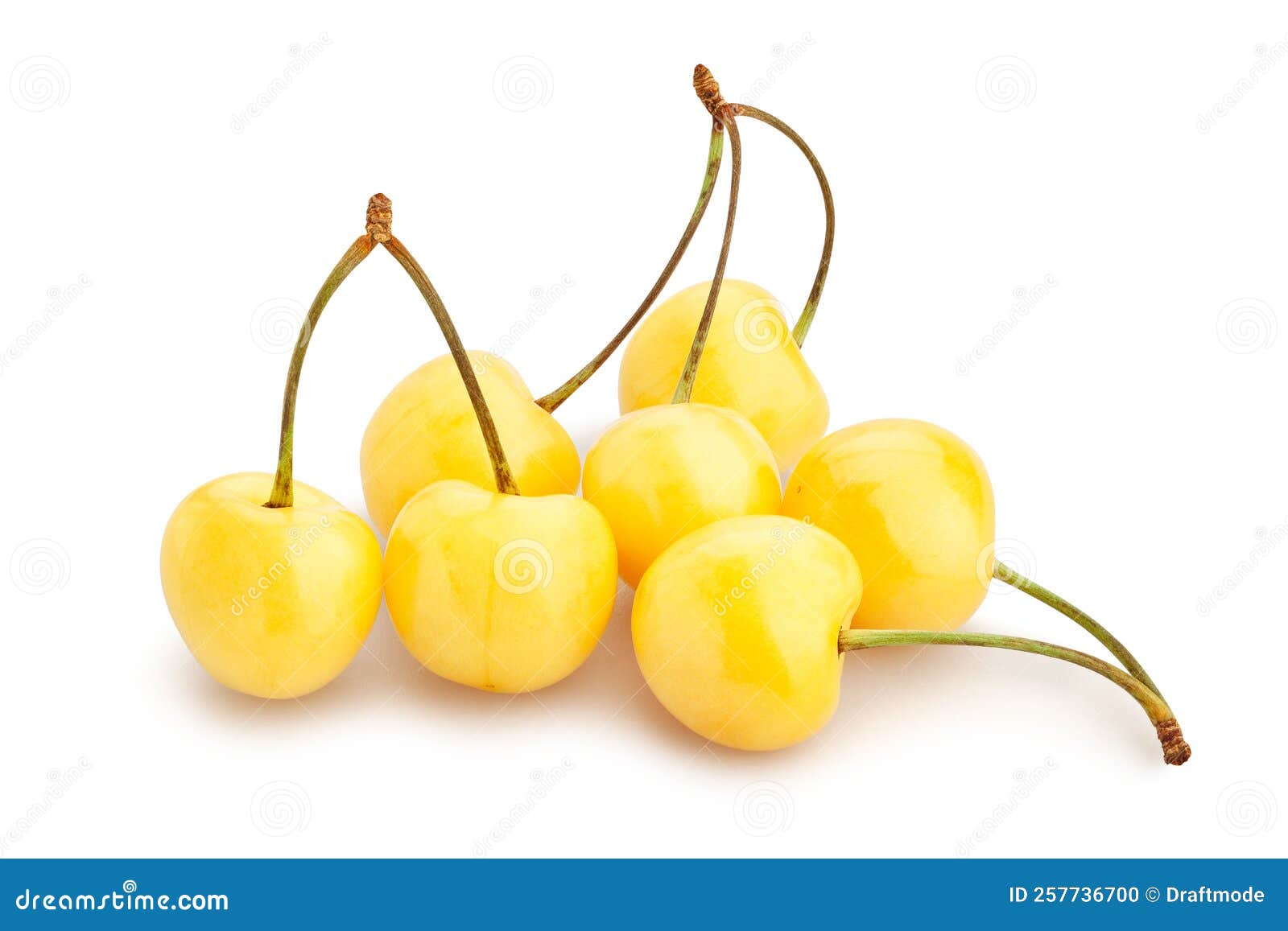 Yellow Cherry Path Isolated Stock Photo - Image of tasty, studio: 257736700