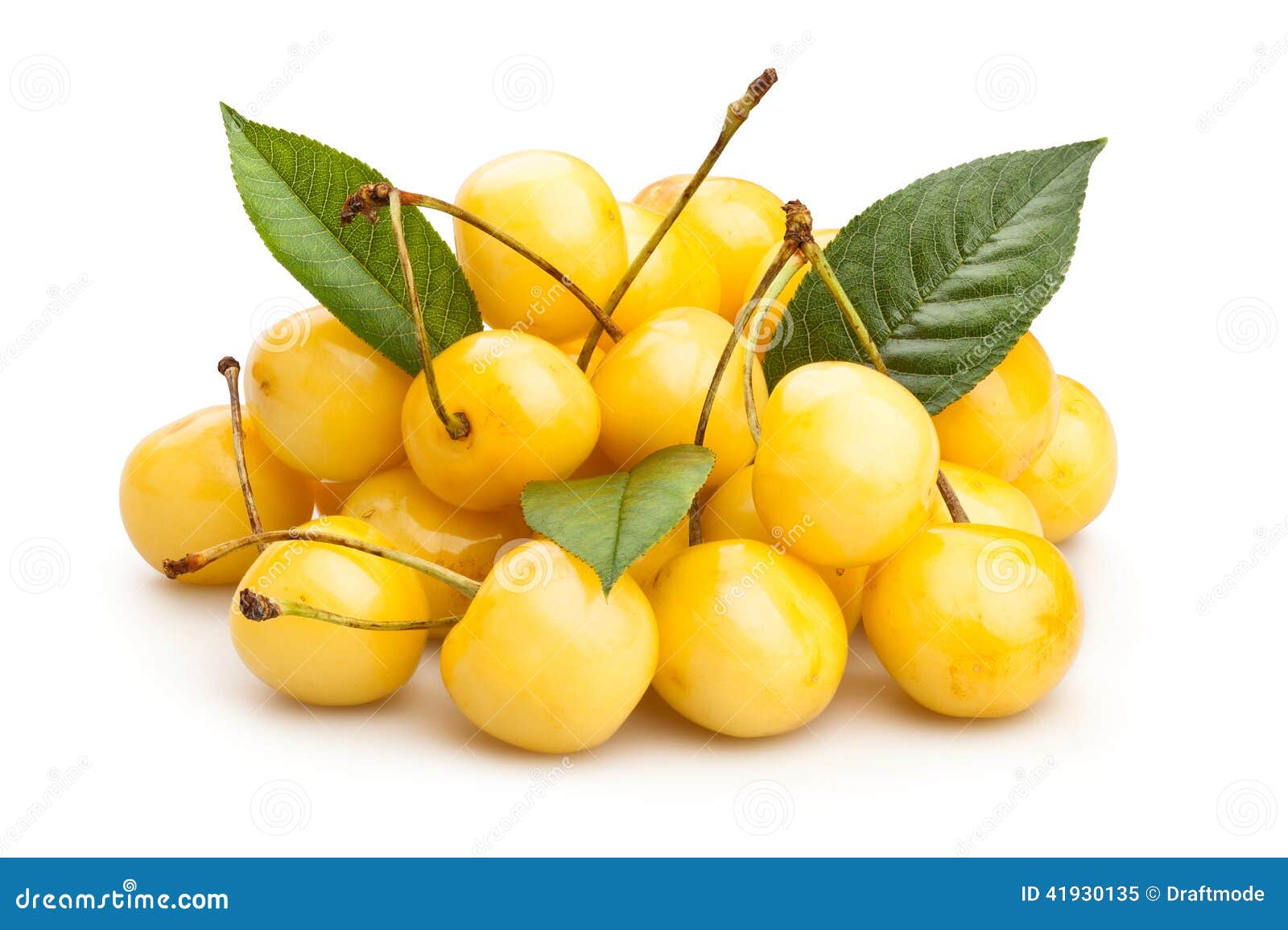 Benefits Of Yellow Cherry at Sam Cawthorn blog