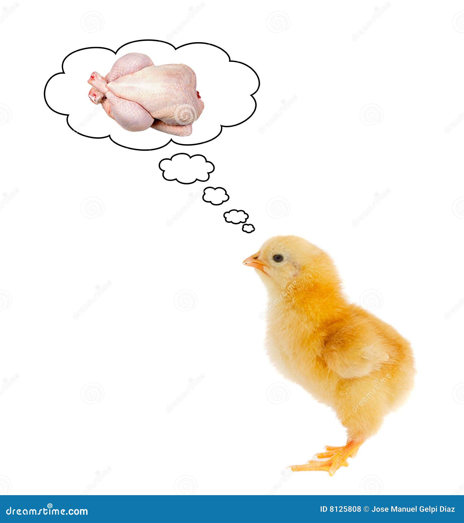 Yellow Chick Scared Thinking about Their Future Stock Photo - Image of ...