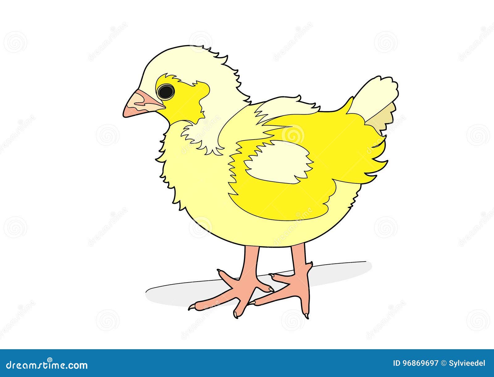 Yellow chick stock vector. Illustration of animal, file - 96869697
