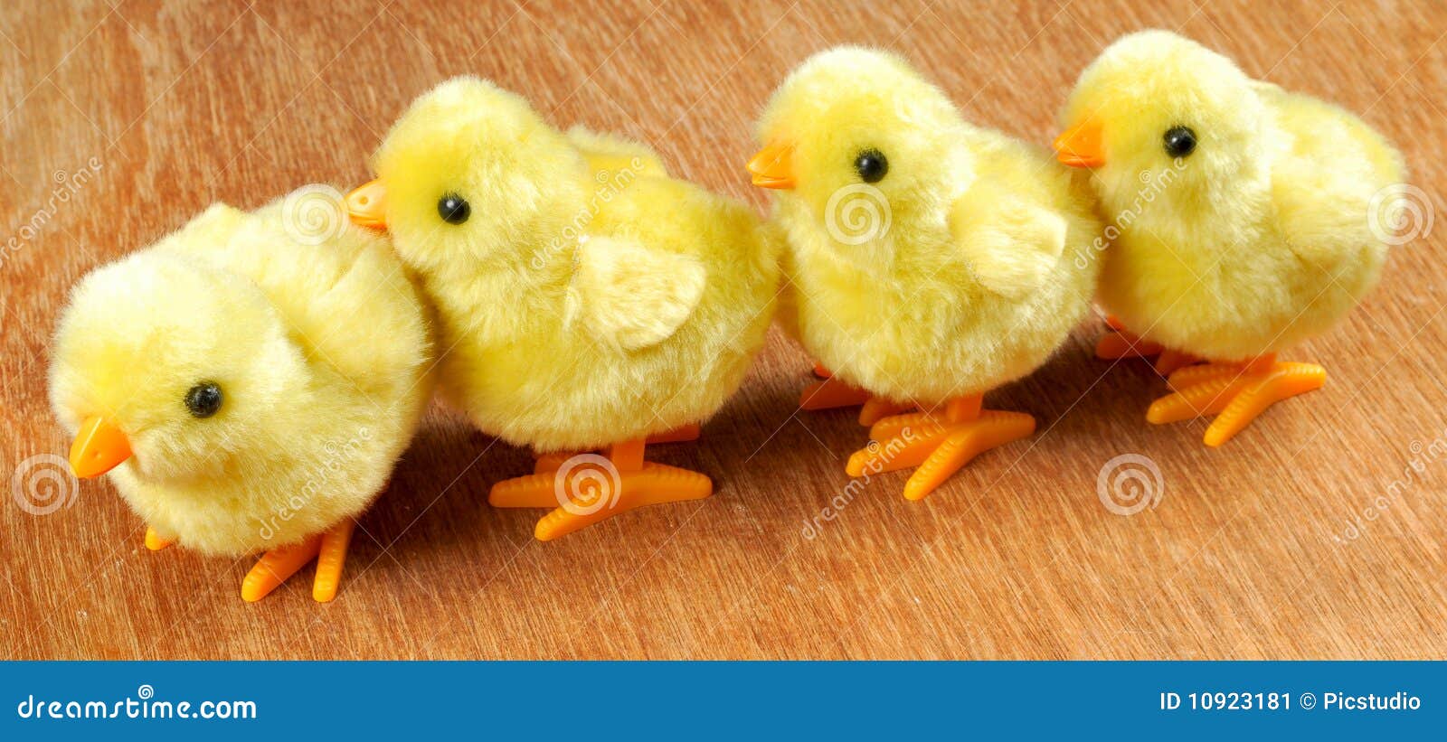 Yellow chiks stock image. Image of still, eyes, colour - 10923181