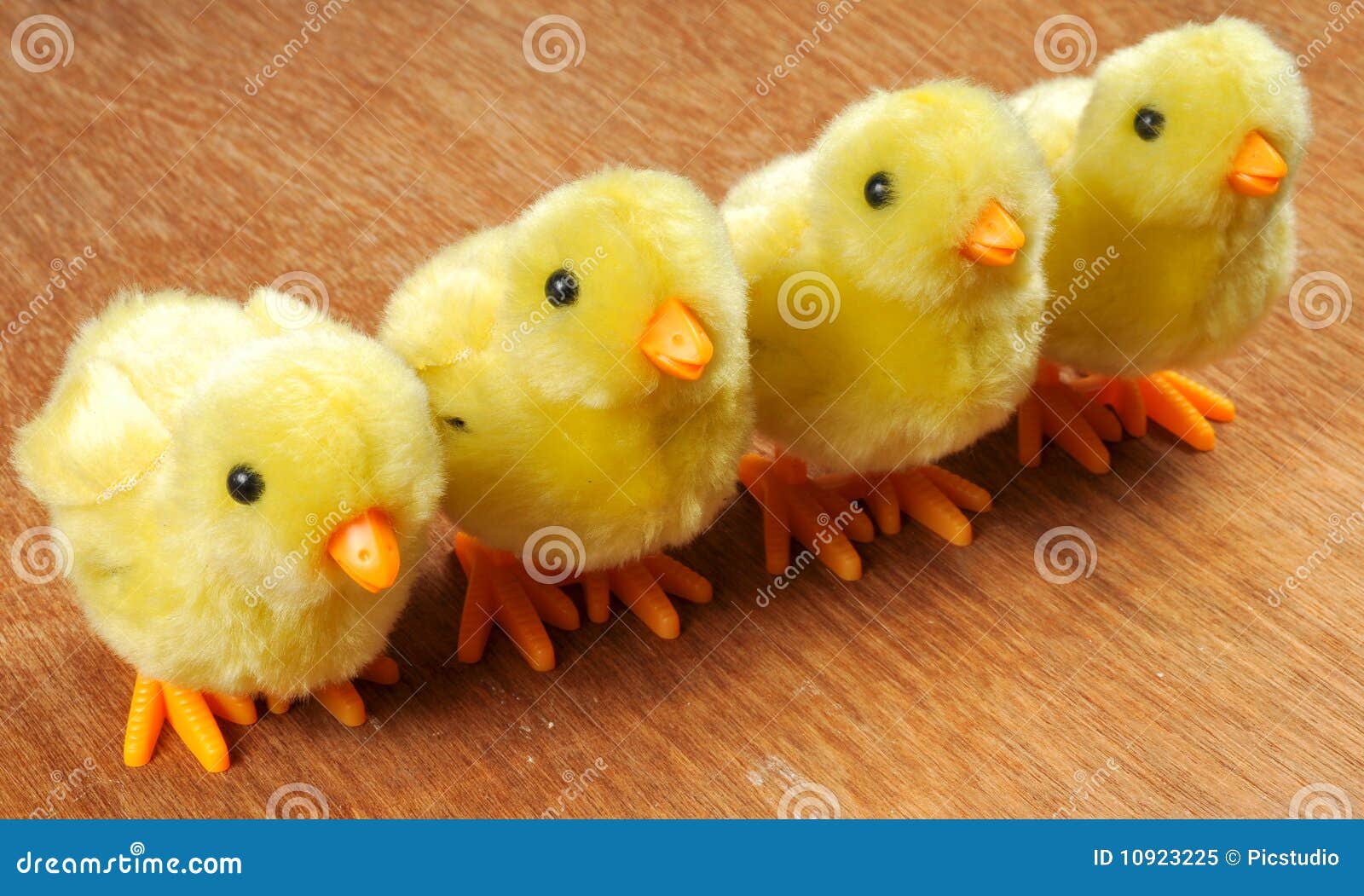 Yellow chiks stock image. Image of lovely, chicks, feathers - 10923225