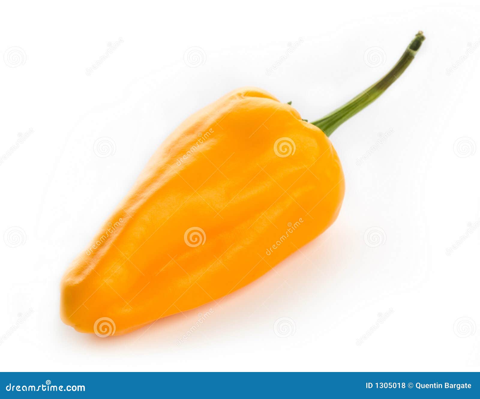 Yellow Chili pepper stock photo. Image of spicy, studio - 1305018