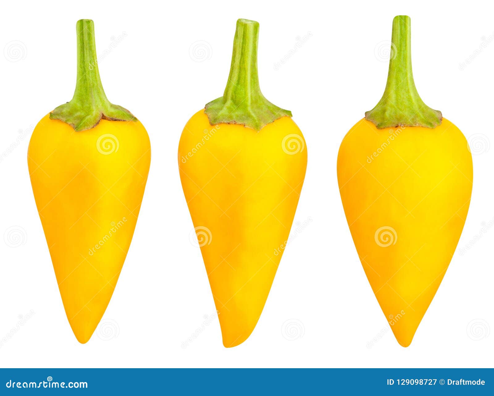 Yellow chilli pepper stock image. Image of fresh, small - 129098727